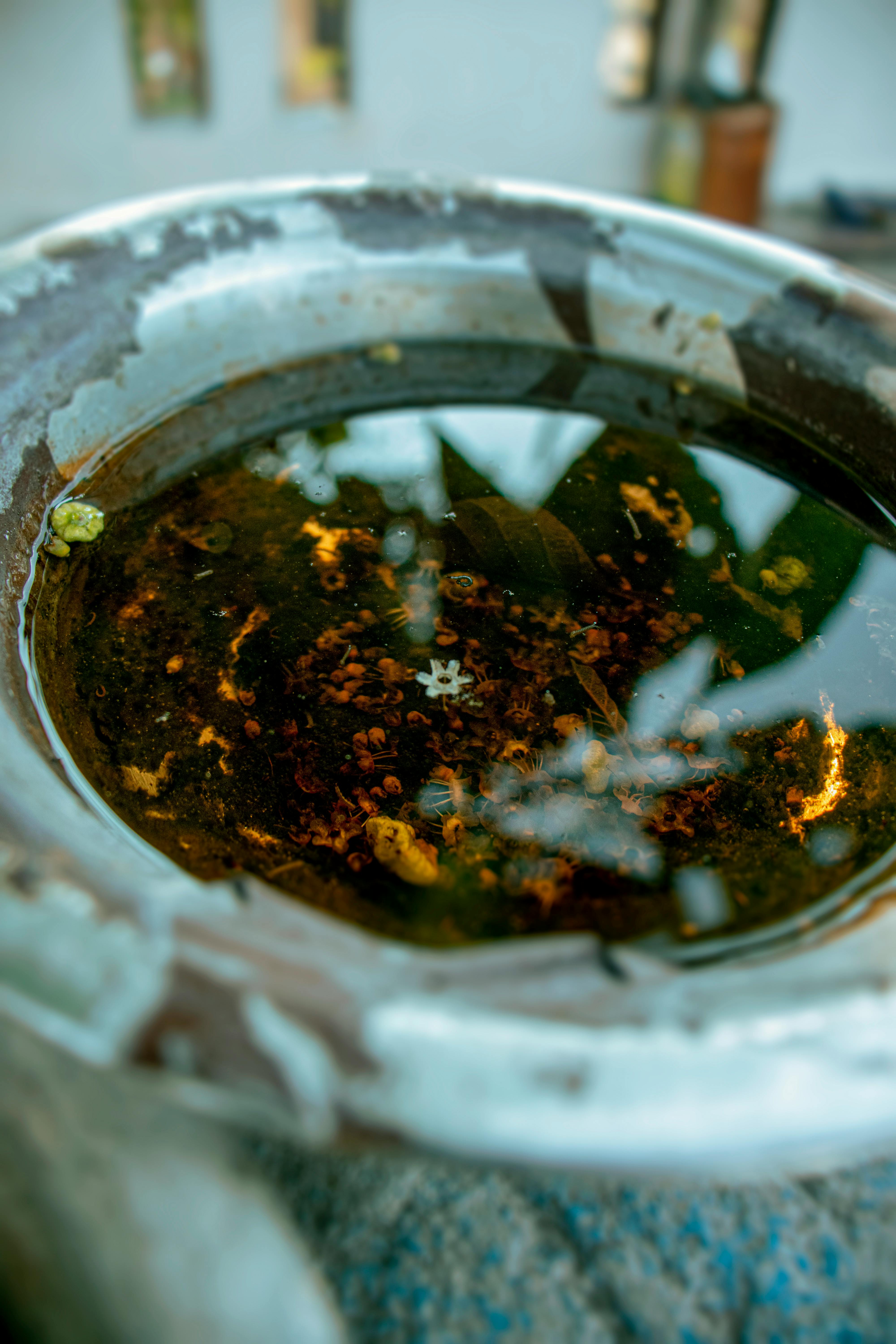 Ratan Kumar - 사진