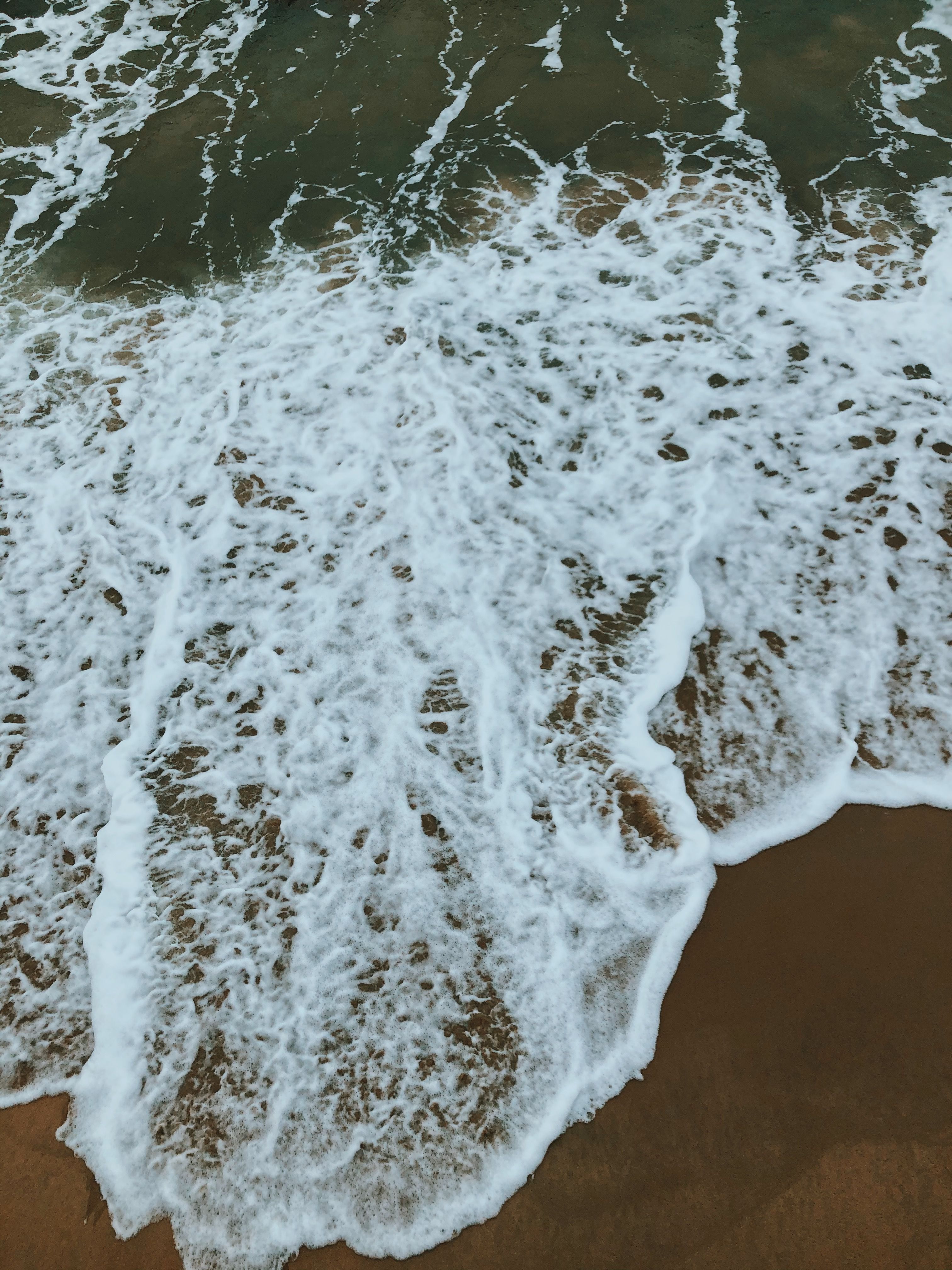 Fish in a Clear Plastic on Seashore · Free Stock Photo