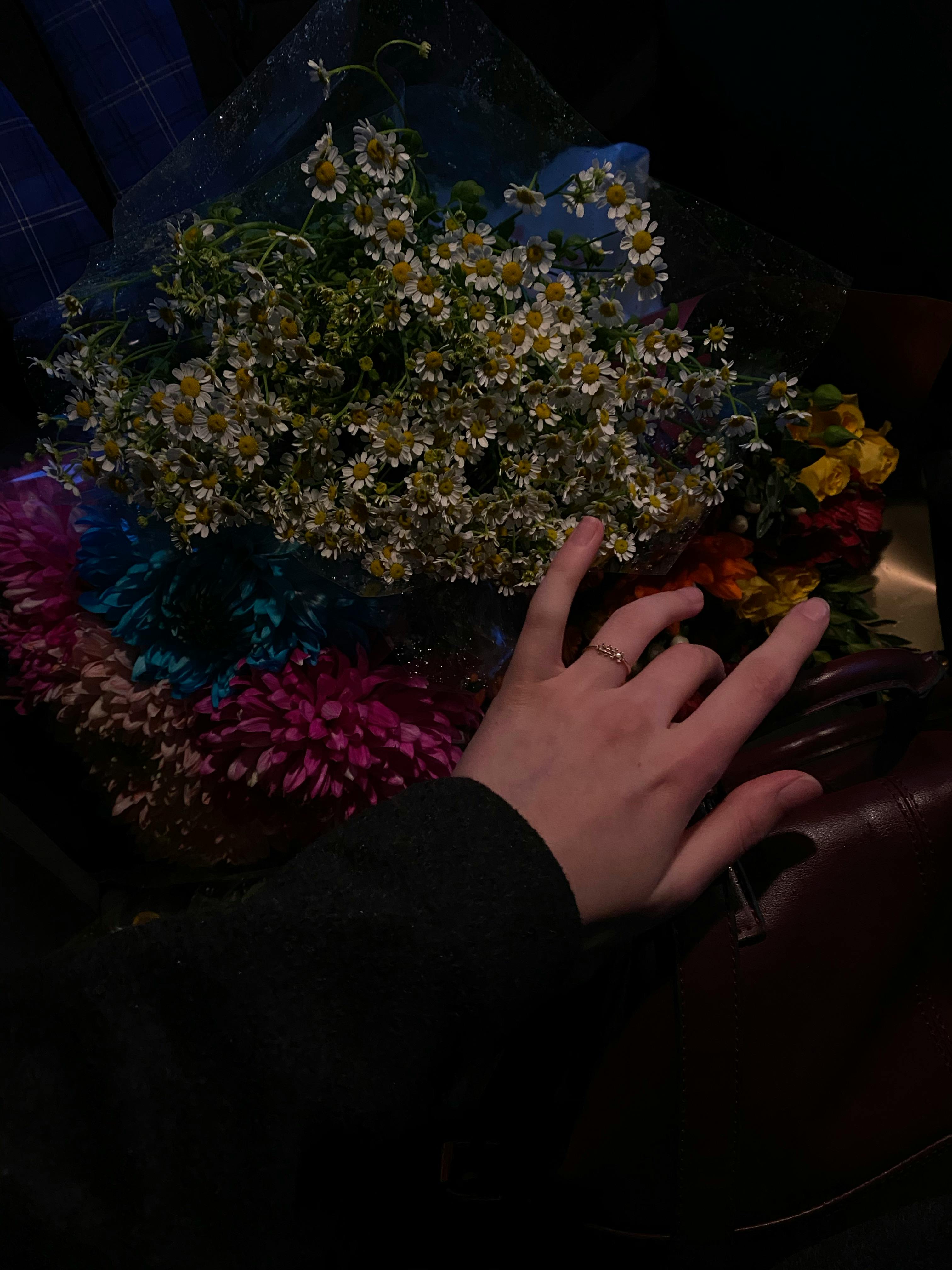 Holding a Bouquet of Flowers · Free Stock Photo