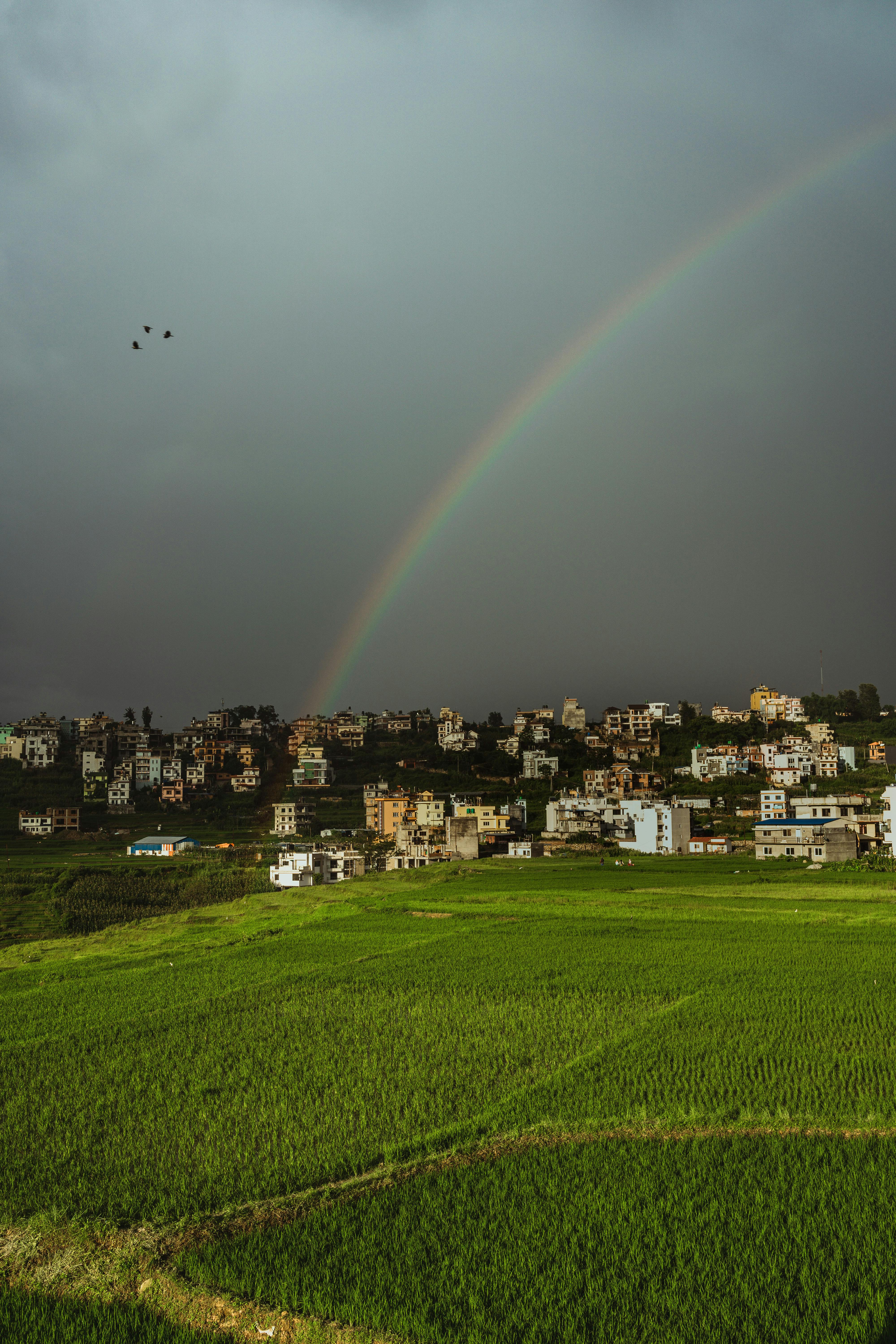 Photograph of a Rainbow Starting on a Hill · Free Stock Photo