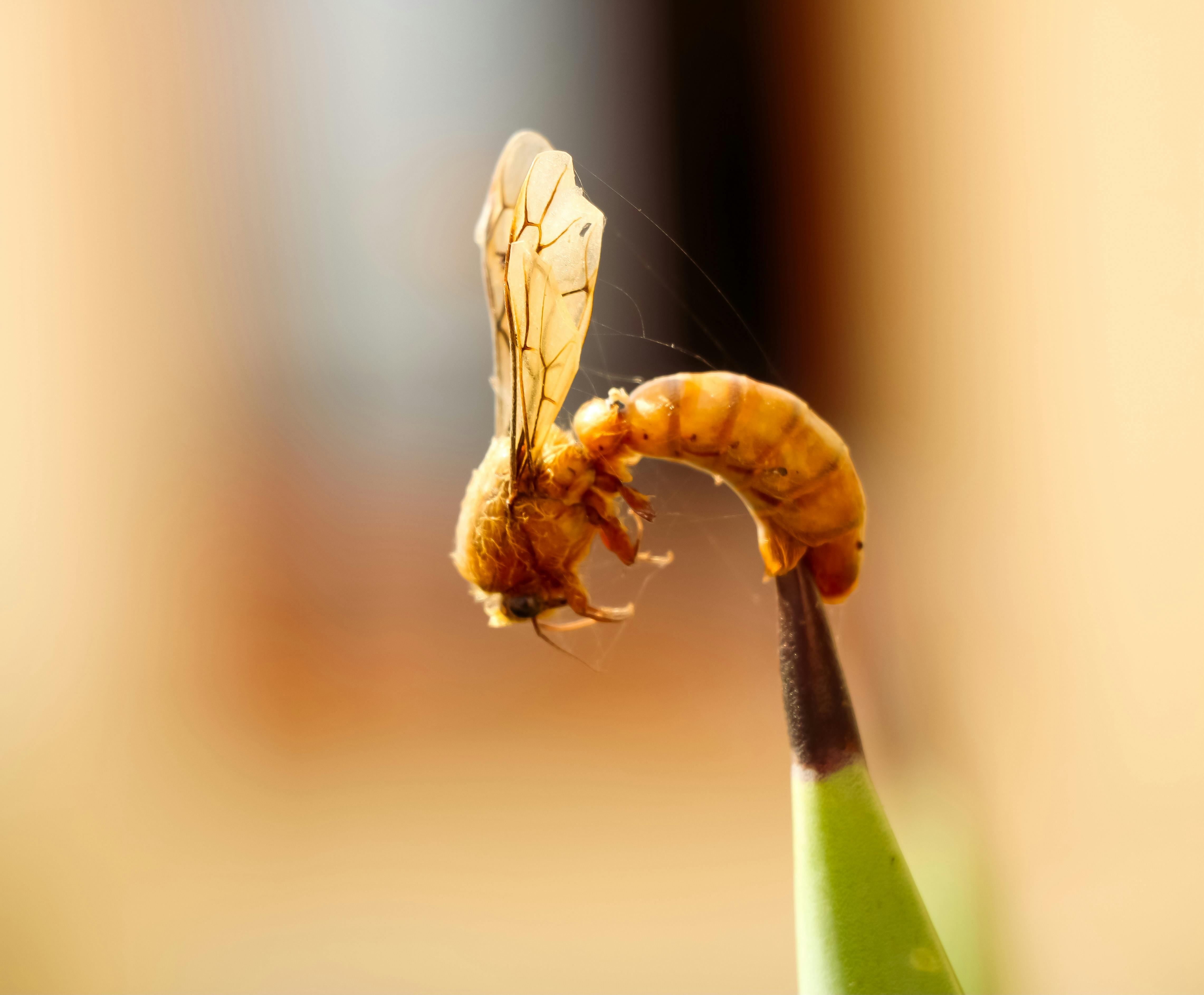 Leandro Andrade - Photography