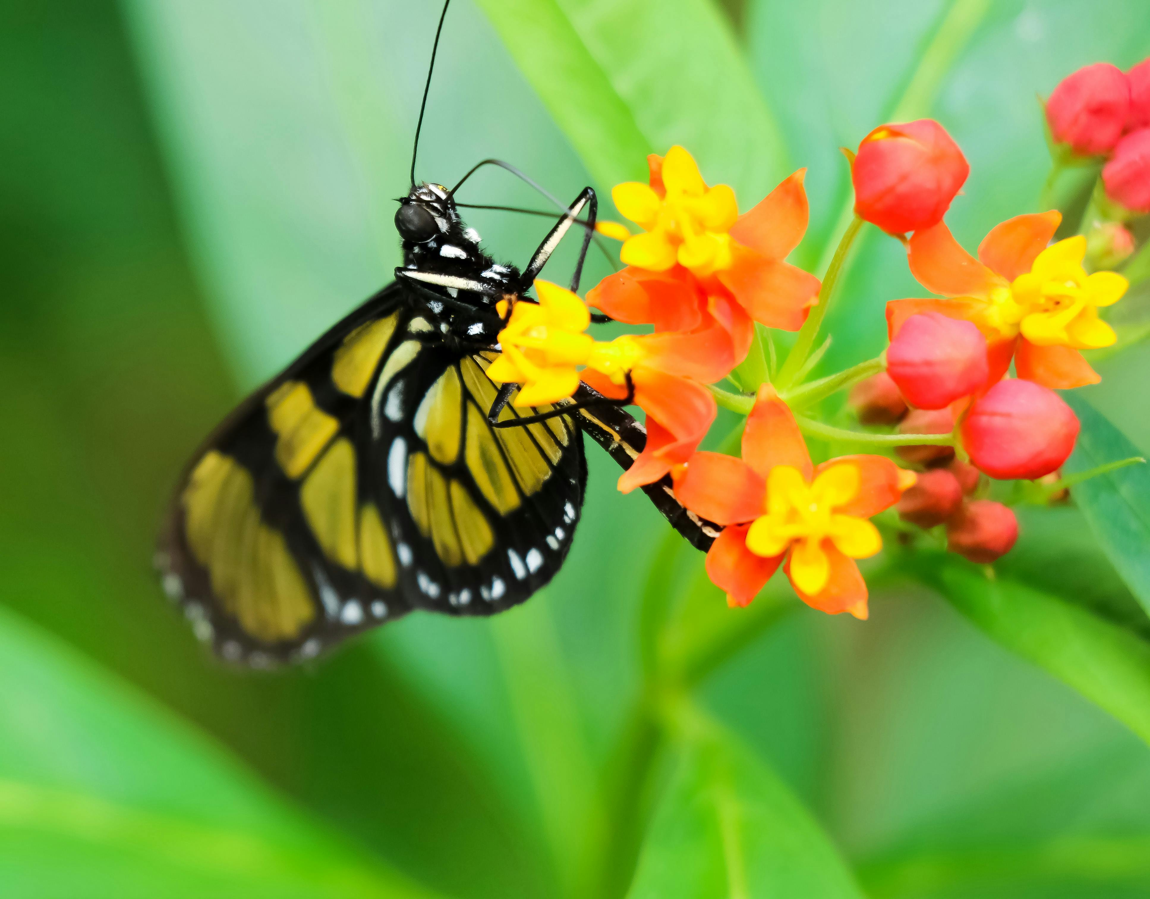 Leandro Andrade - Photography