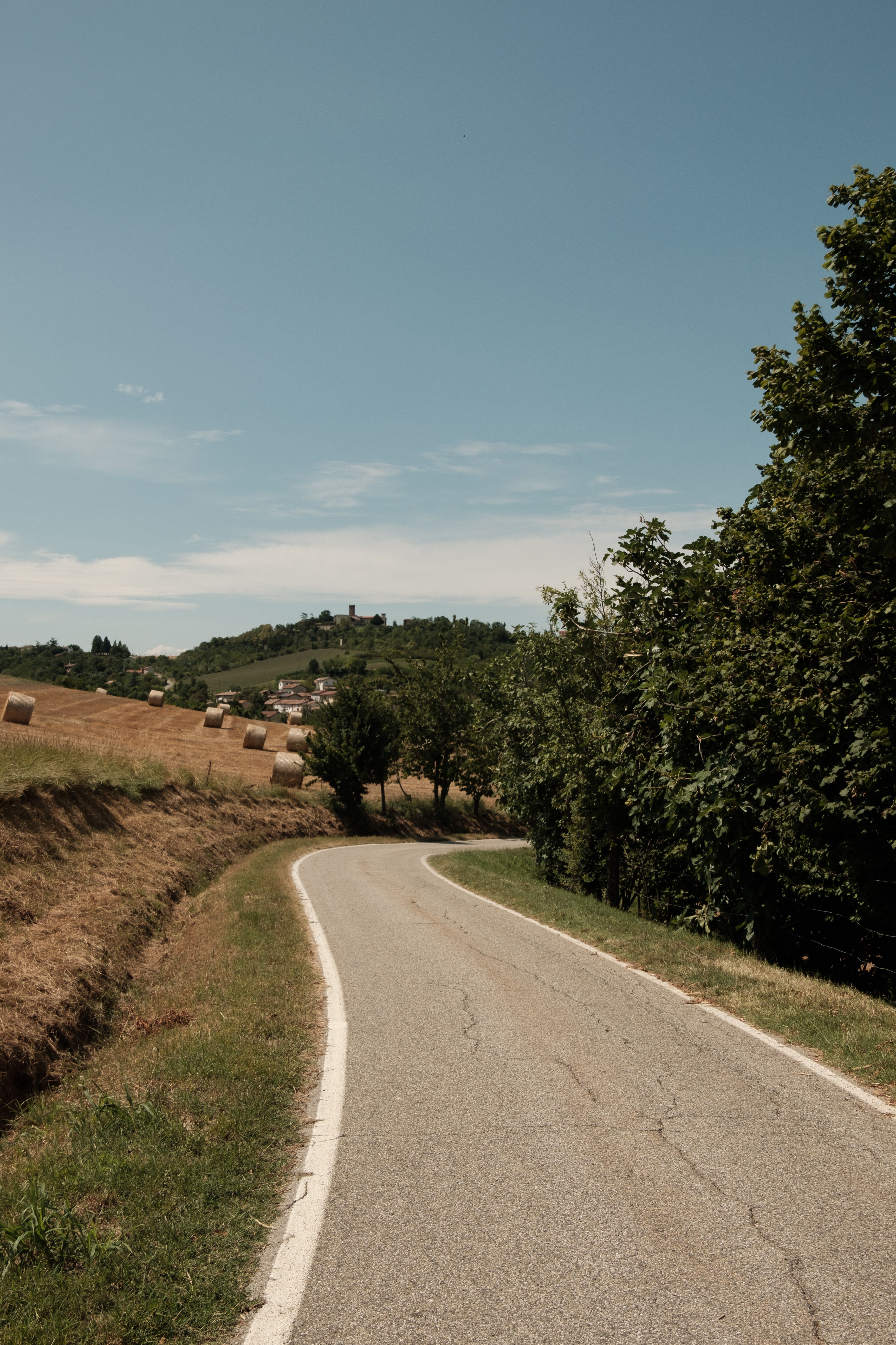 Road Between Trees and Hill · Free Stock Photo