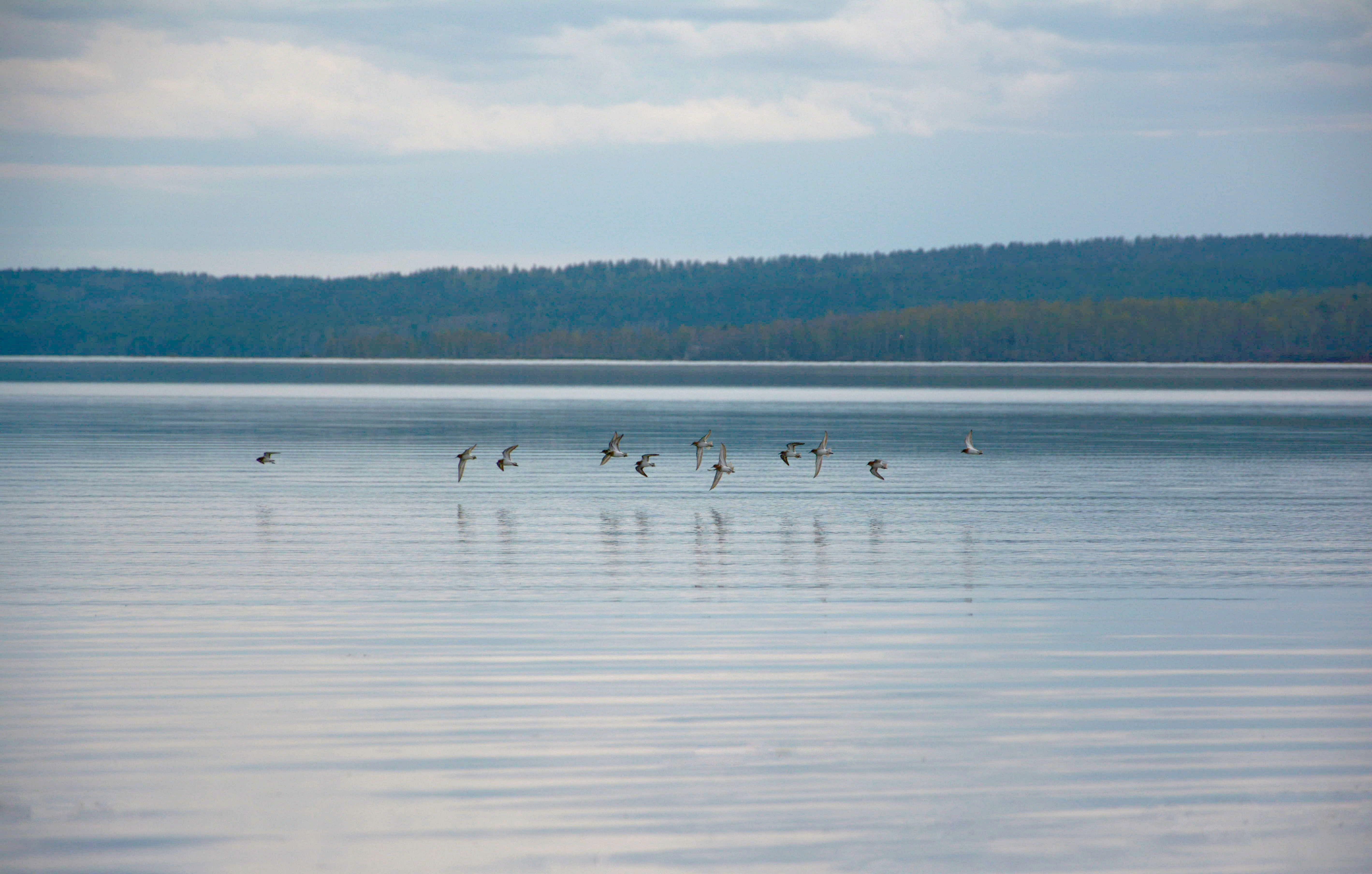 Pier in Water in Wild Nature Landscape · Free Stock Photo