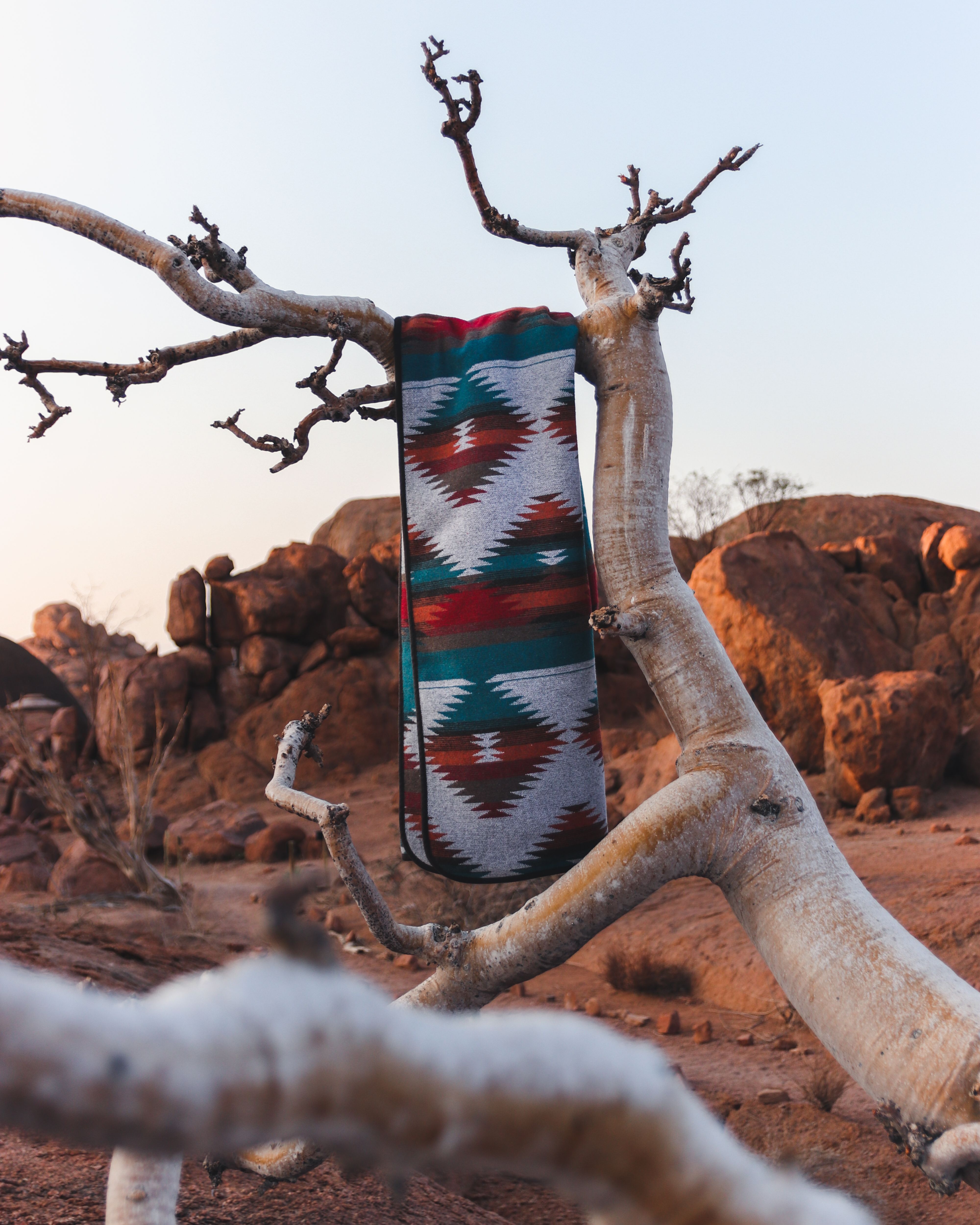 A Blanket Hanging on a Leafless Tree Branch · Free Stock Photo