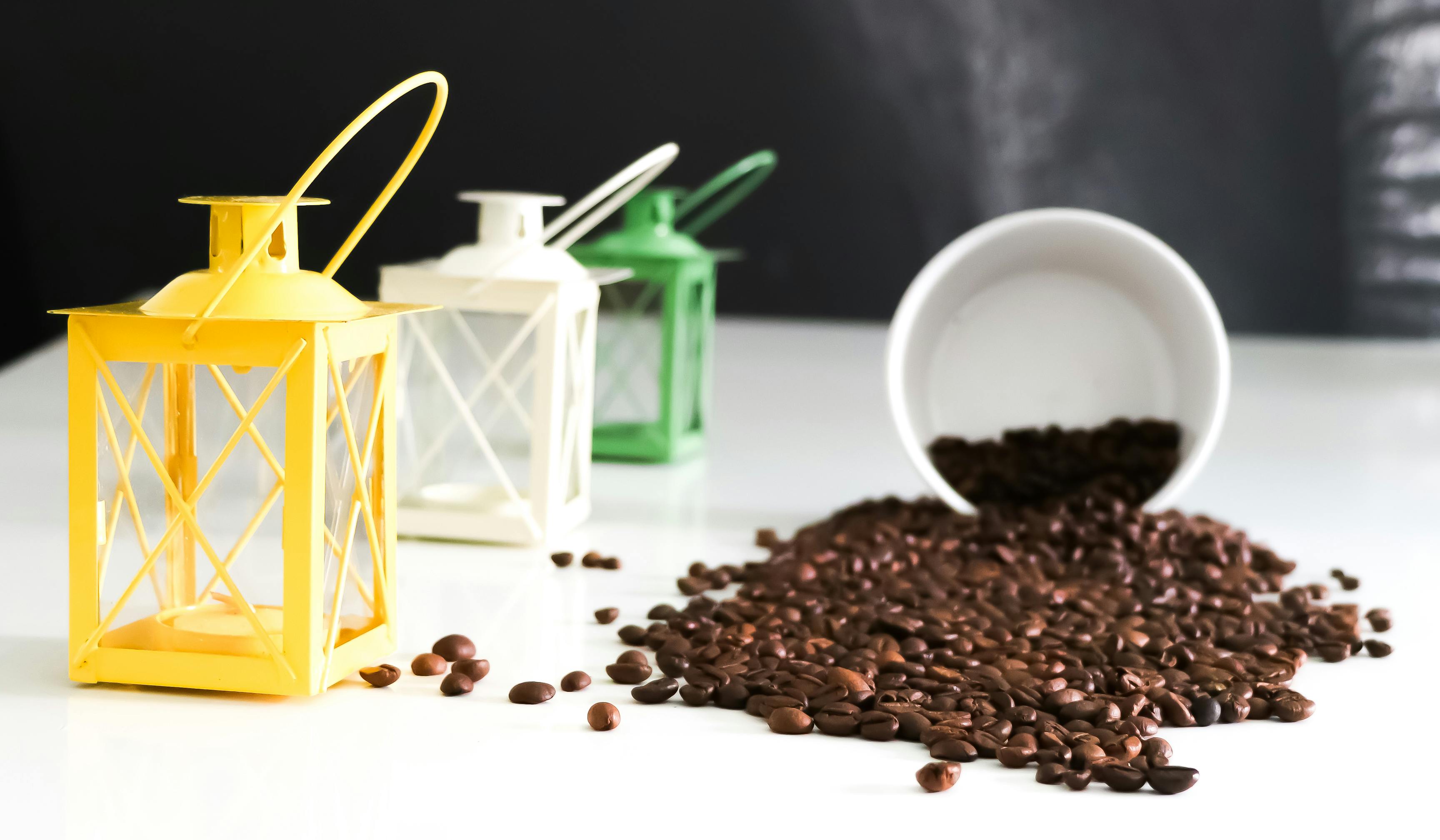 Leandro Andrade - Photography