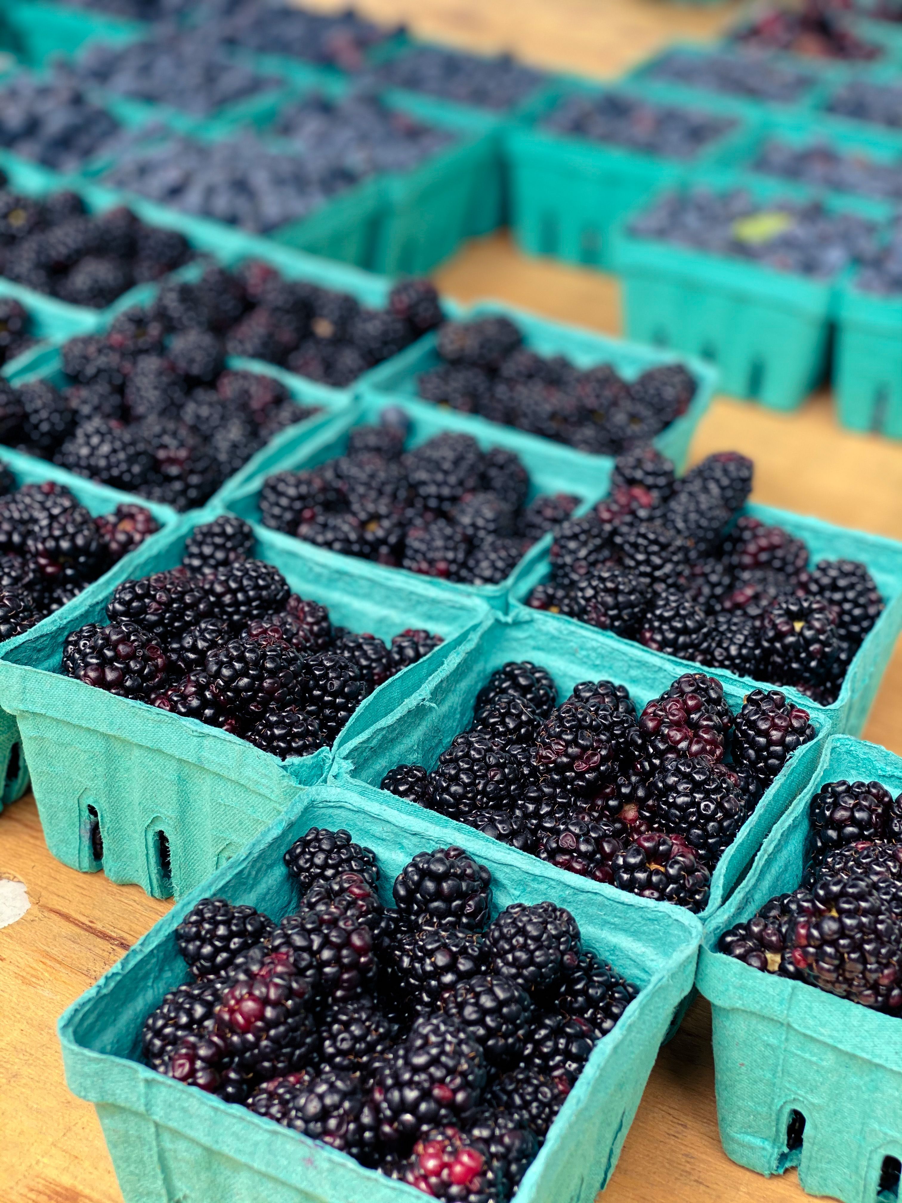 Blackberries in Carton Boxes · Free Stock Photo