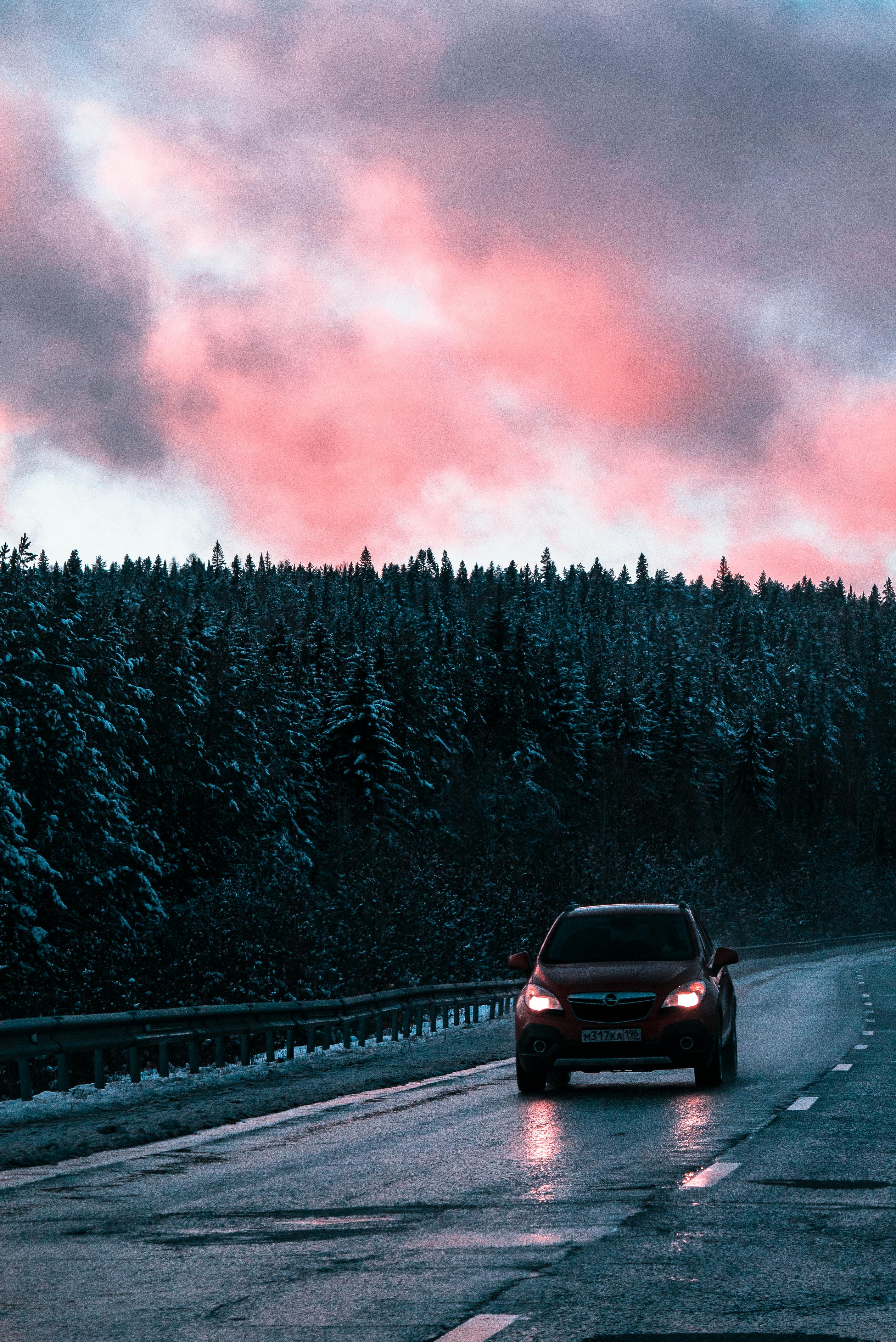 Car on Road Surrounded by Trees · Free Stock Photo
