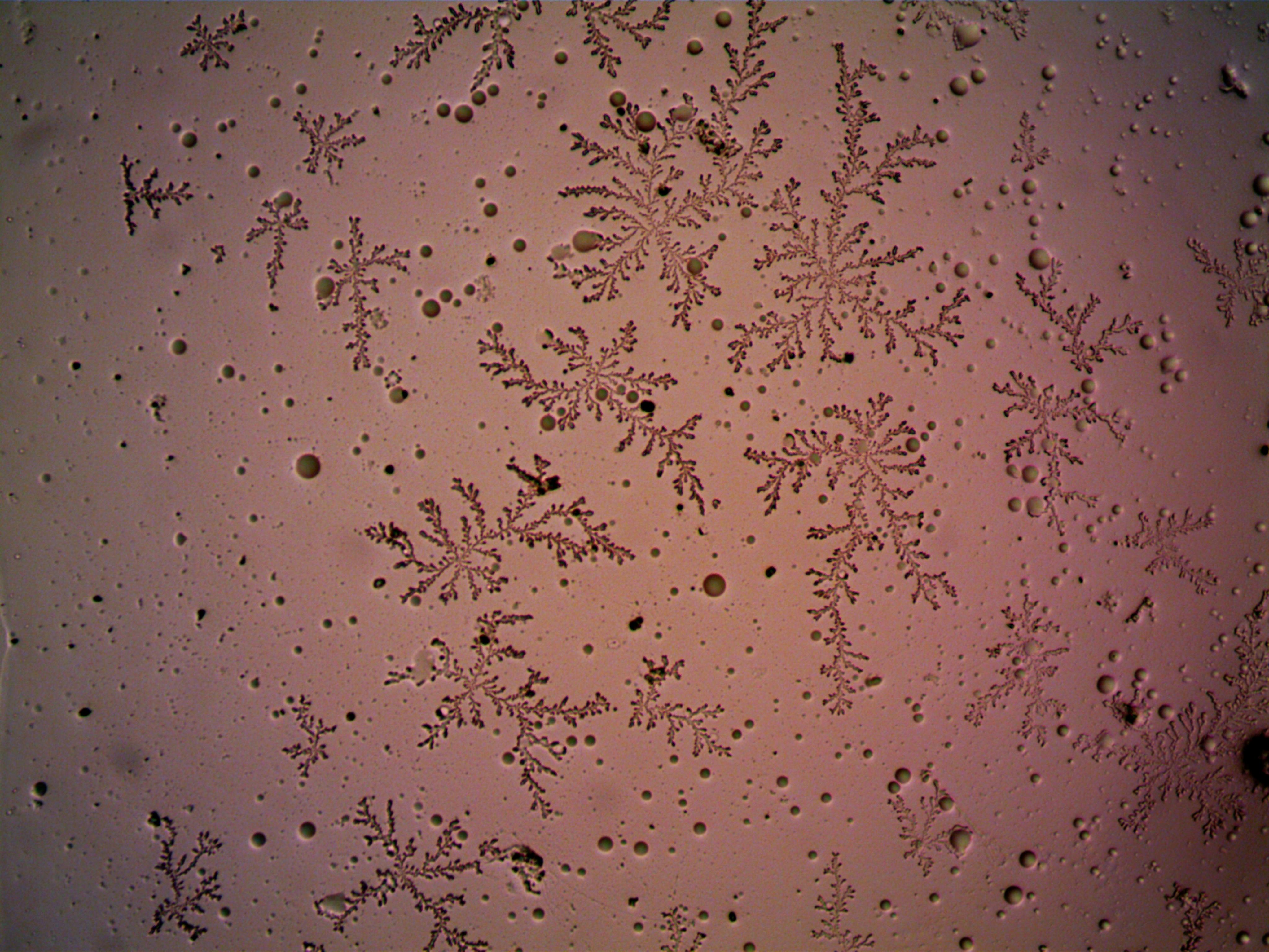 Brown Paper with Geometric Craft Design · Free Stock Photo