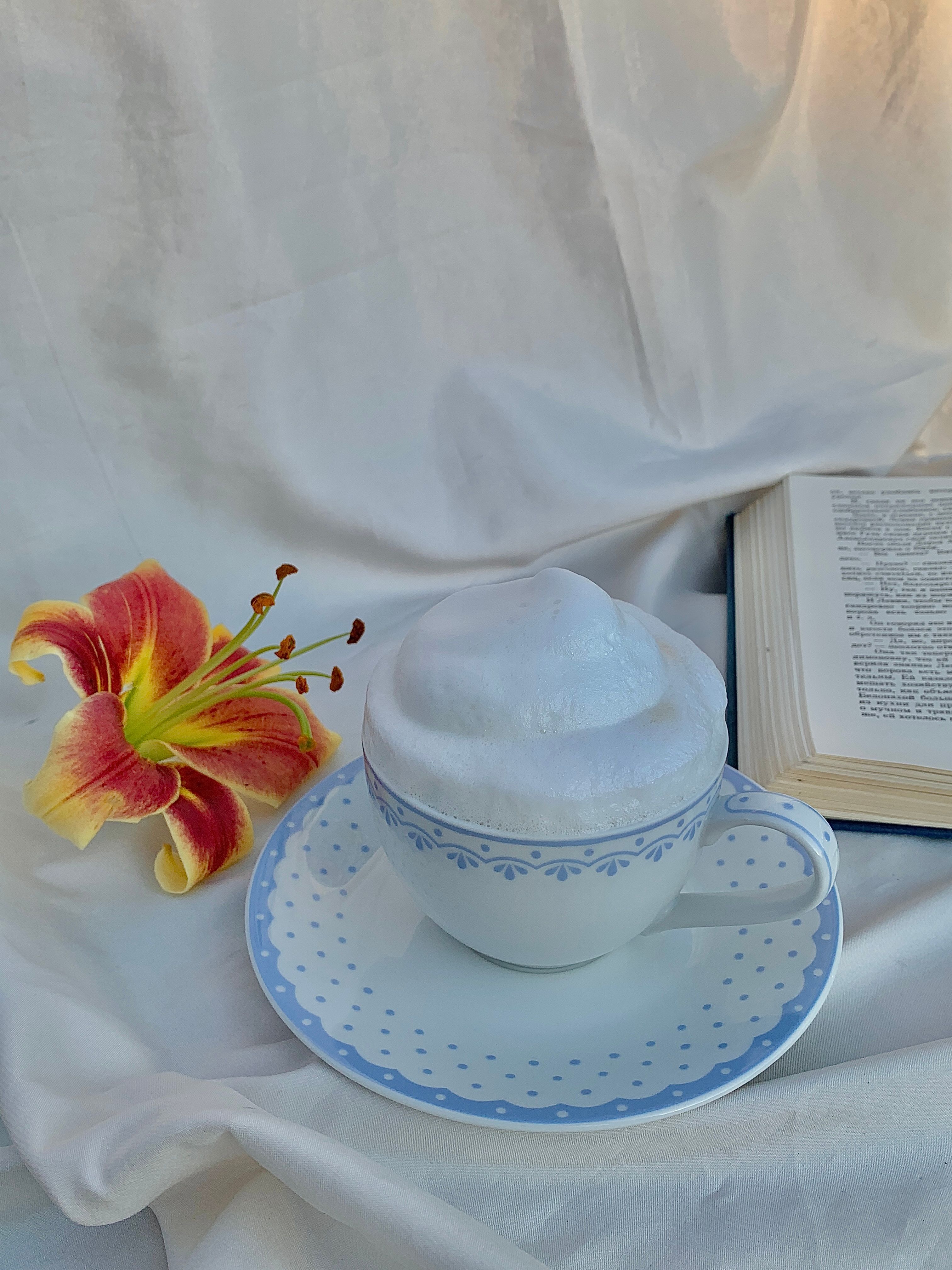Blue Flower Book Photos, Download The BEST Free Blue Flower Book Stock ...