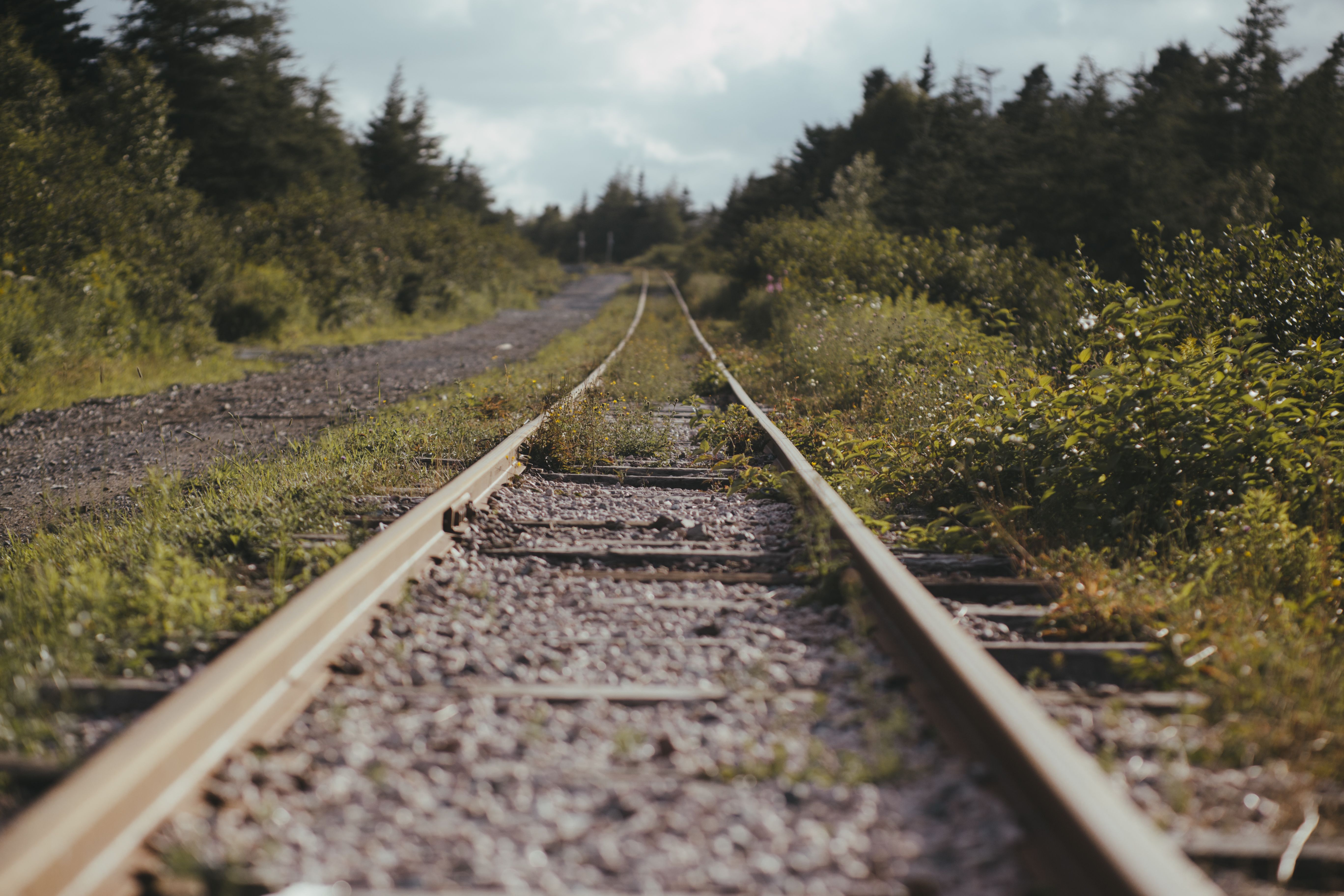 An Empty Railroad Track · Free Stock Photo