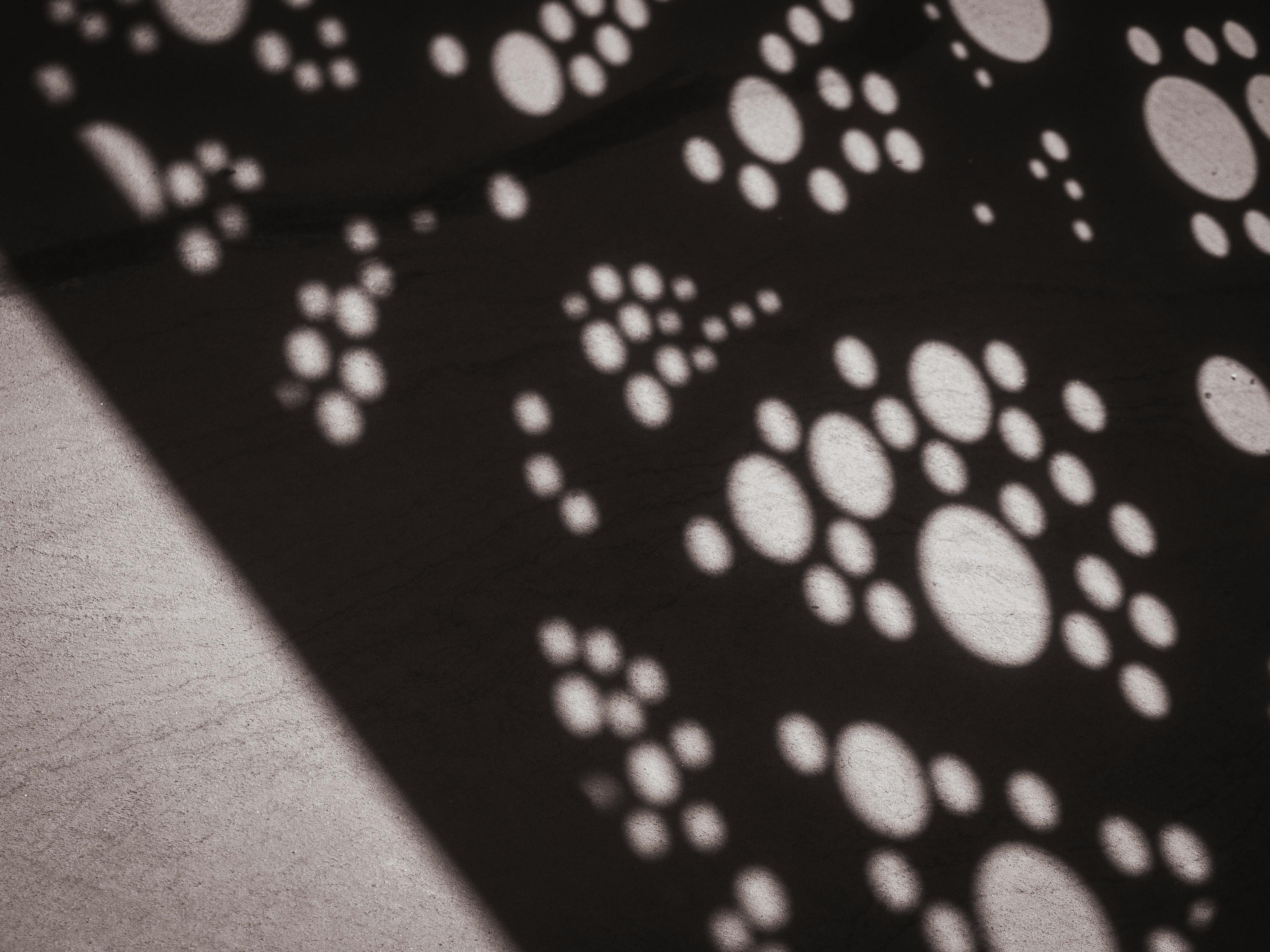 Textures Dots Photos, Download Free Textures Dots Stock Photos & HD Images