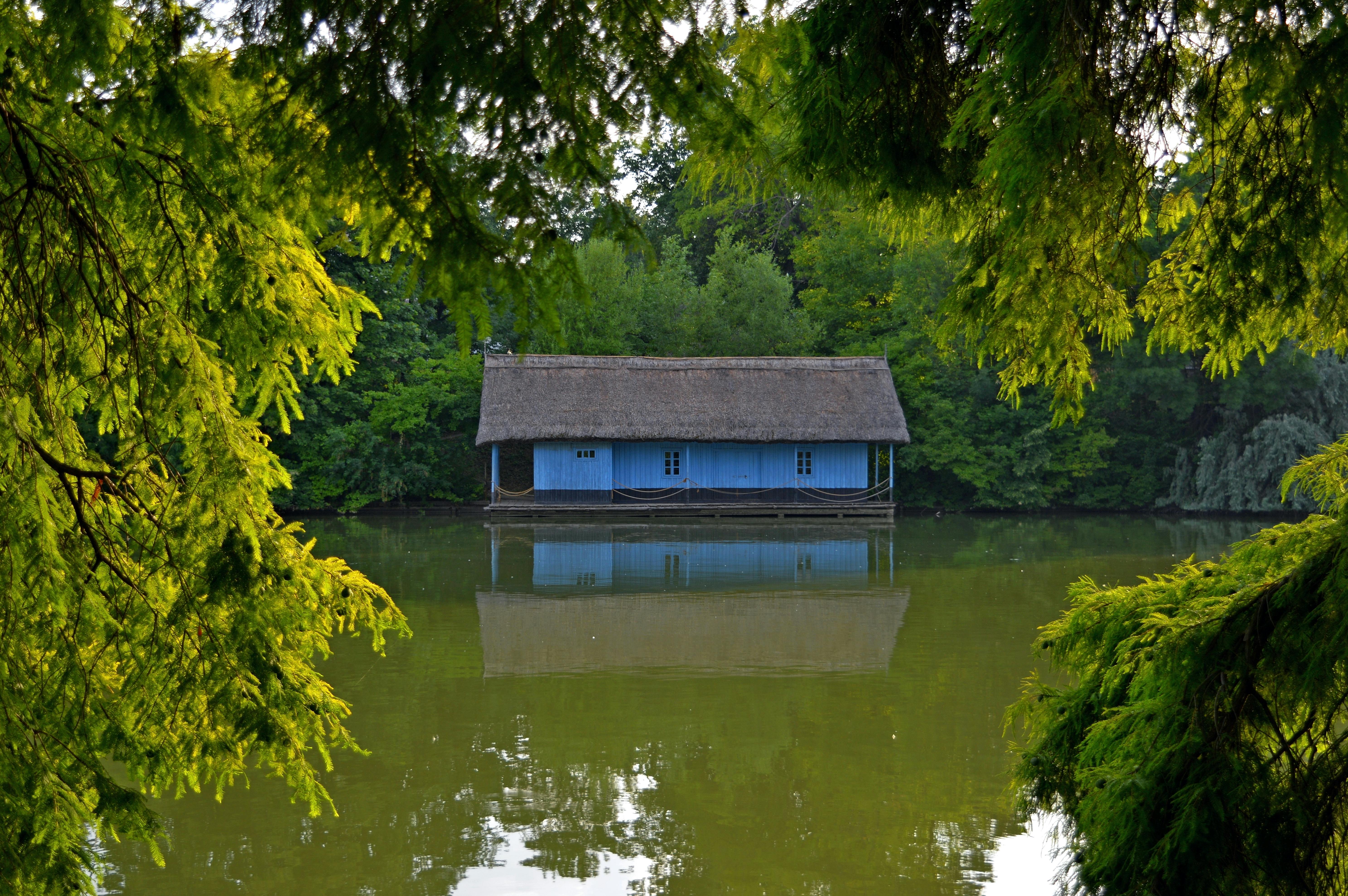 Wooden Green Shed and Trees · Free Stock Photo