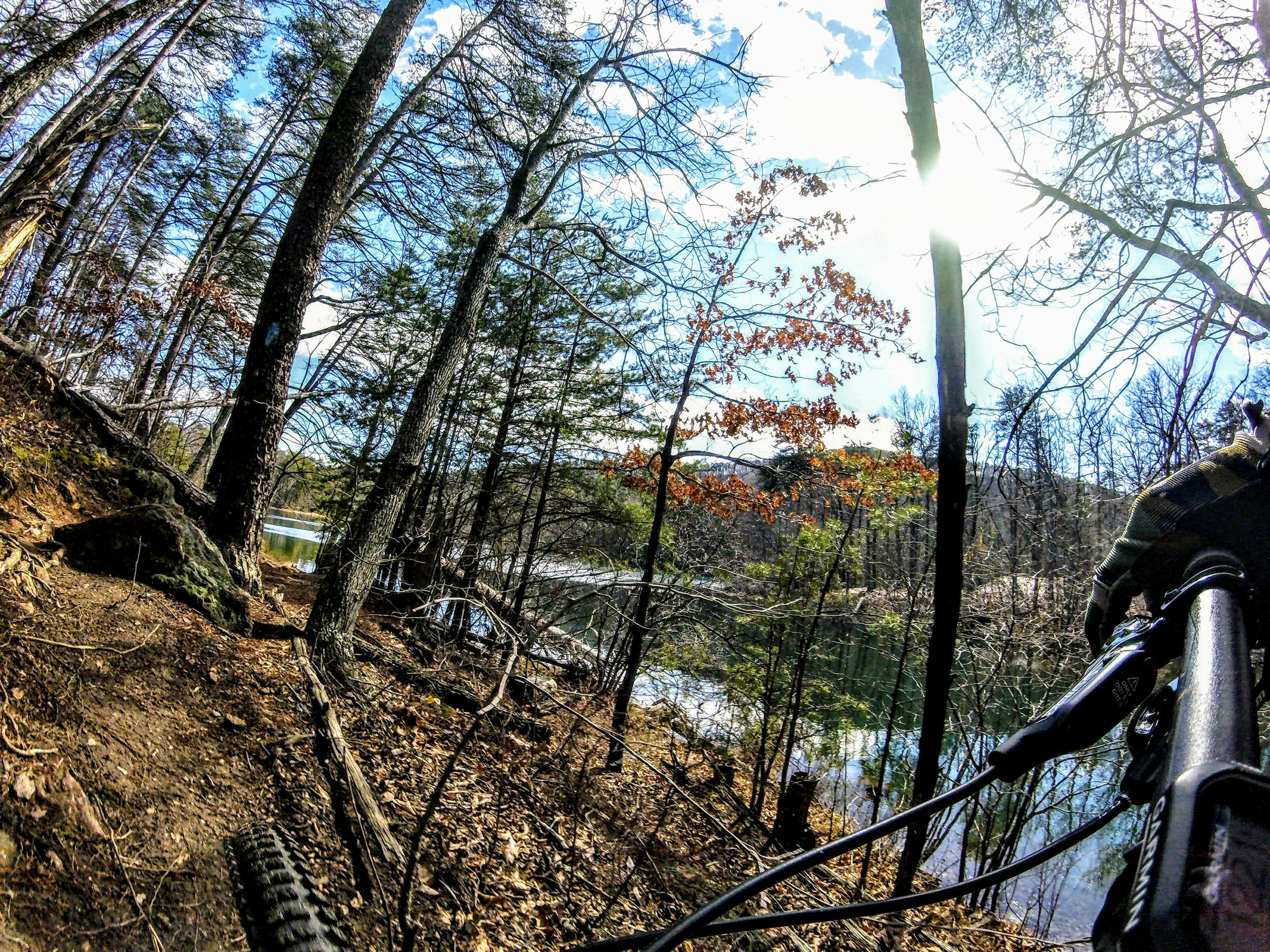 David Wildman - Photographie