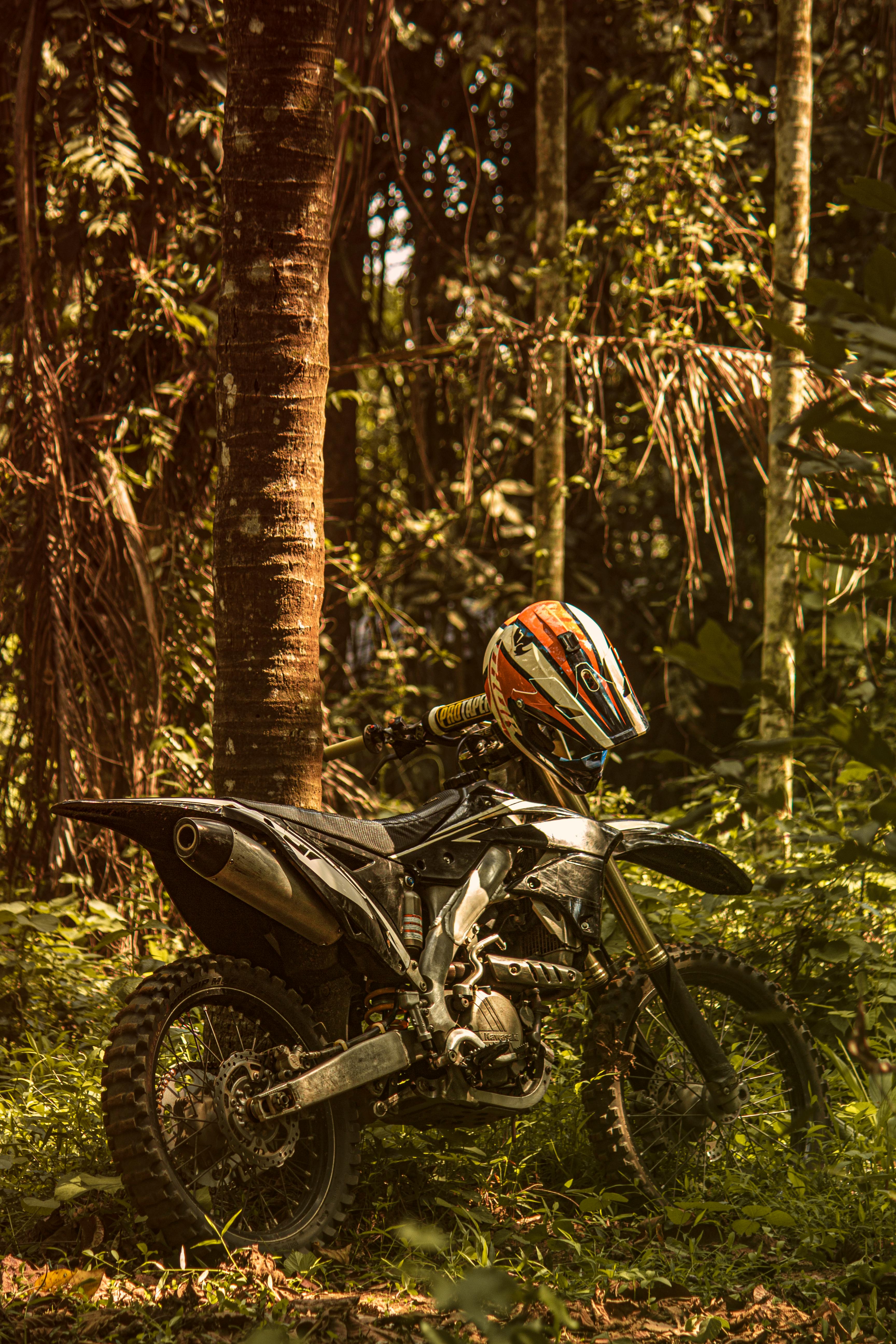 Jungle Racing Photos, Download The BEST Free Jungle Racing Stock Photos ...