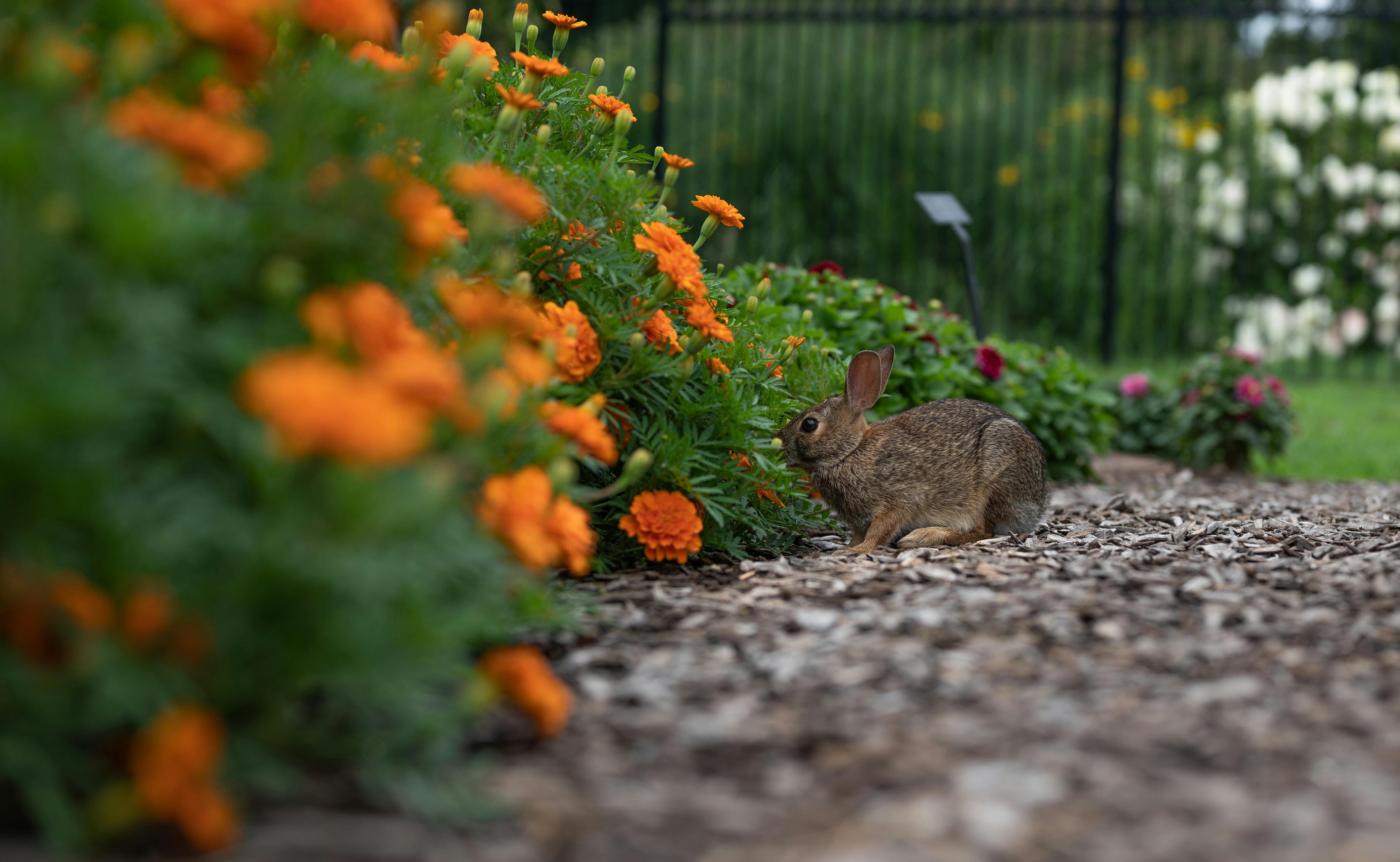 Low Level Shot Photos, Download The BEST Free Low Level Shot Stock ...