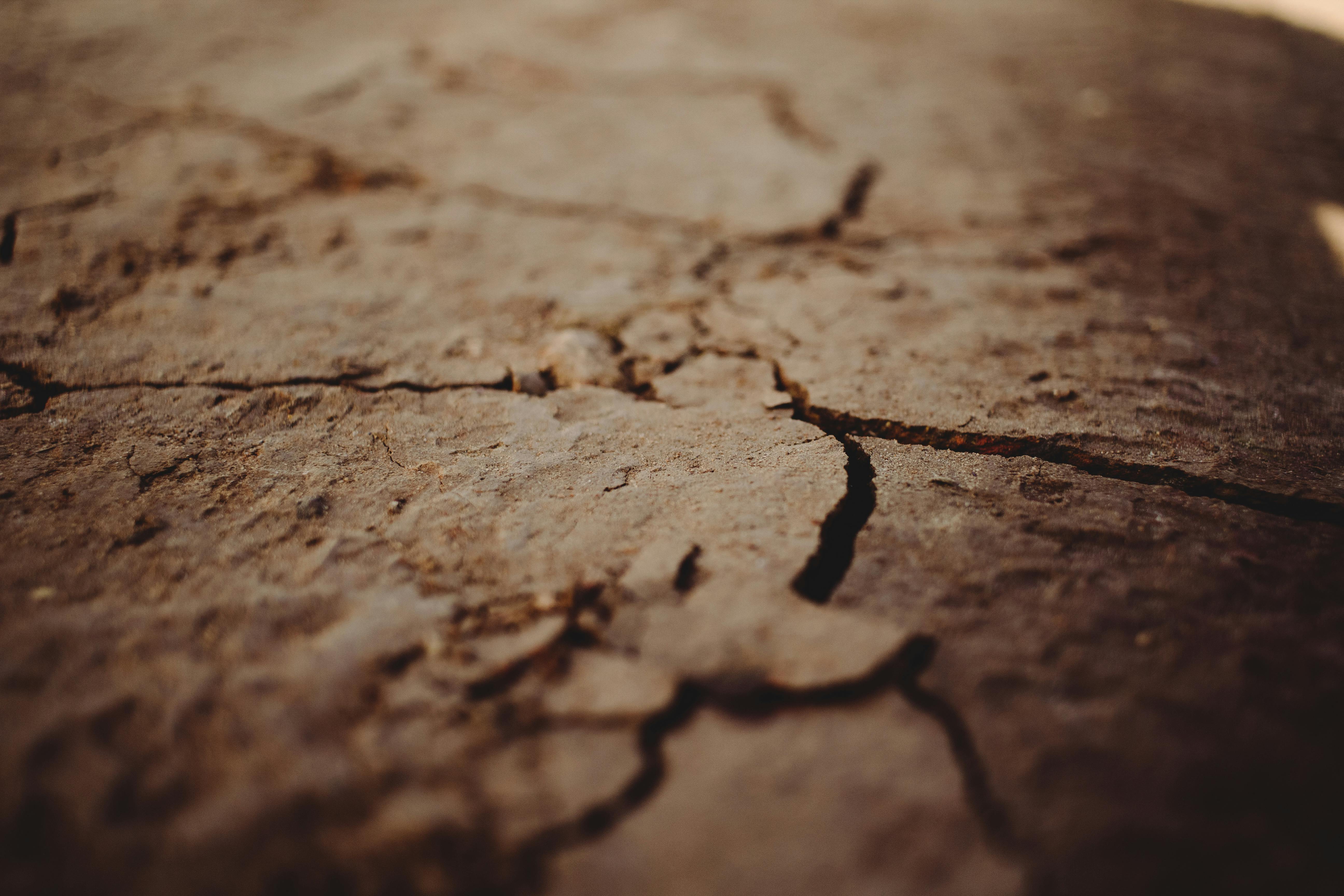 Withered Ground · Free Stock Photo