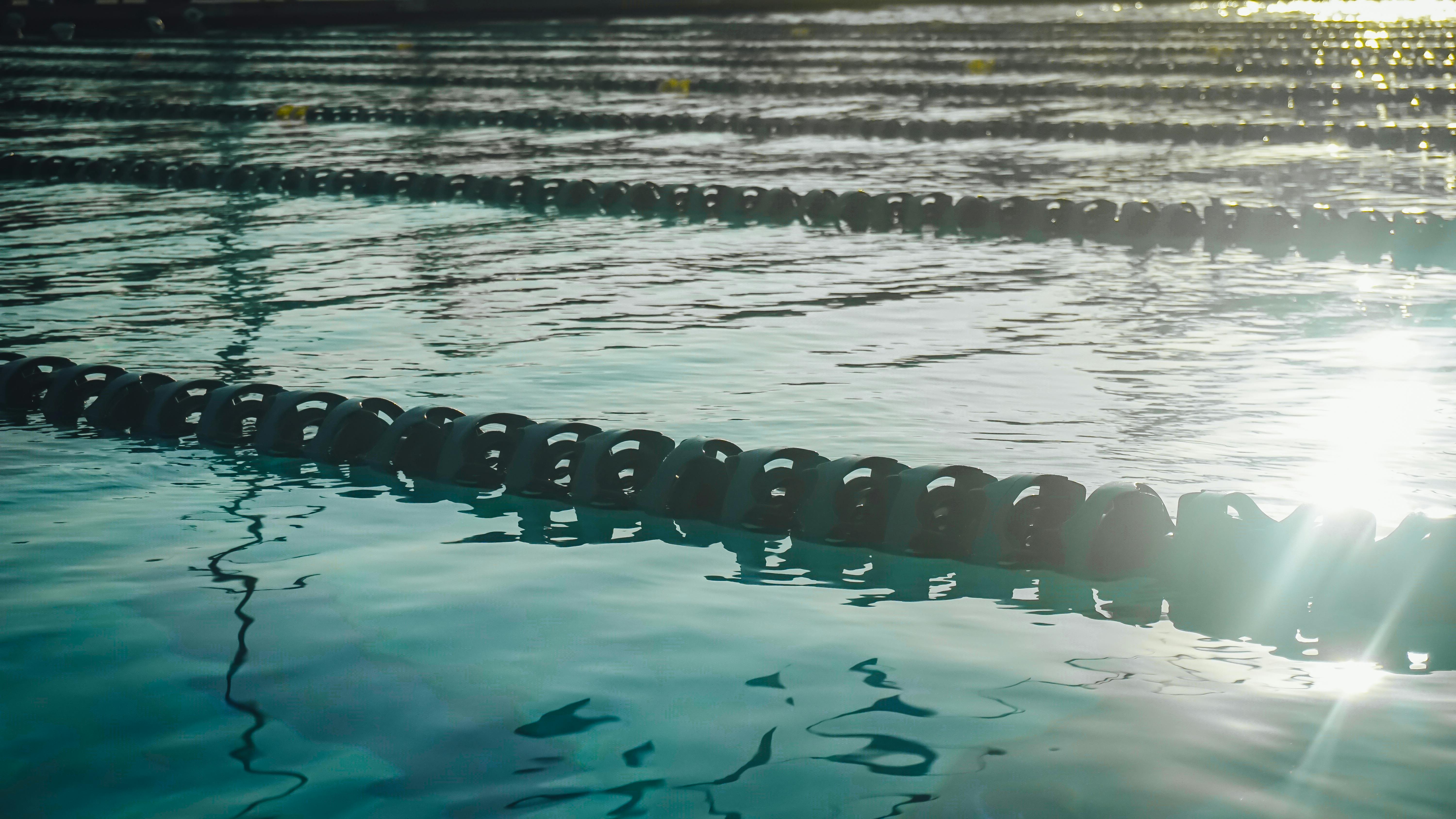 Empty Swimming Pool · Free Stock Photo