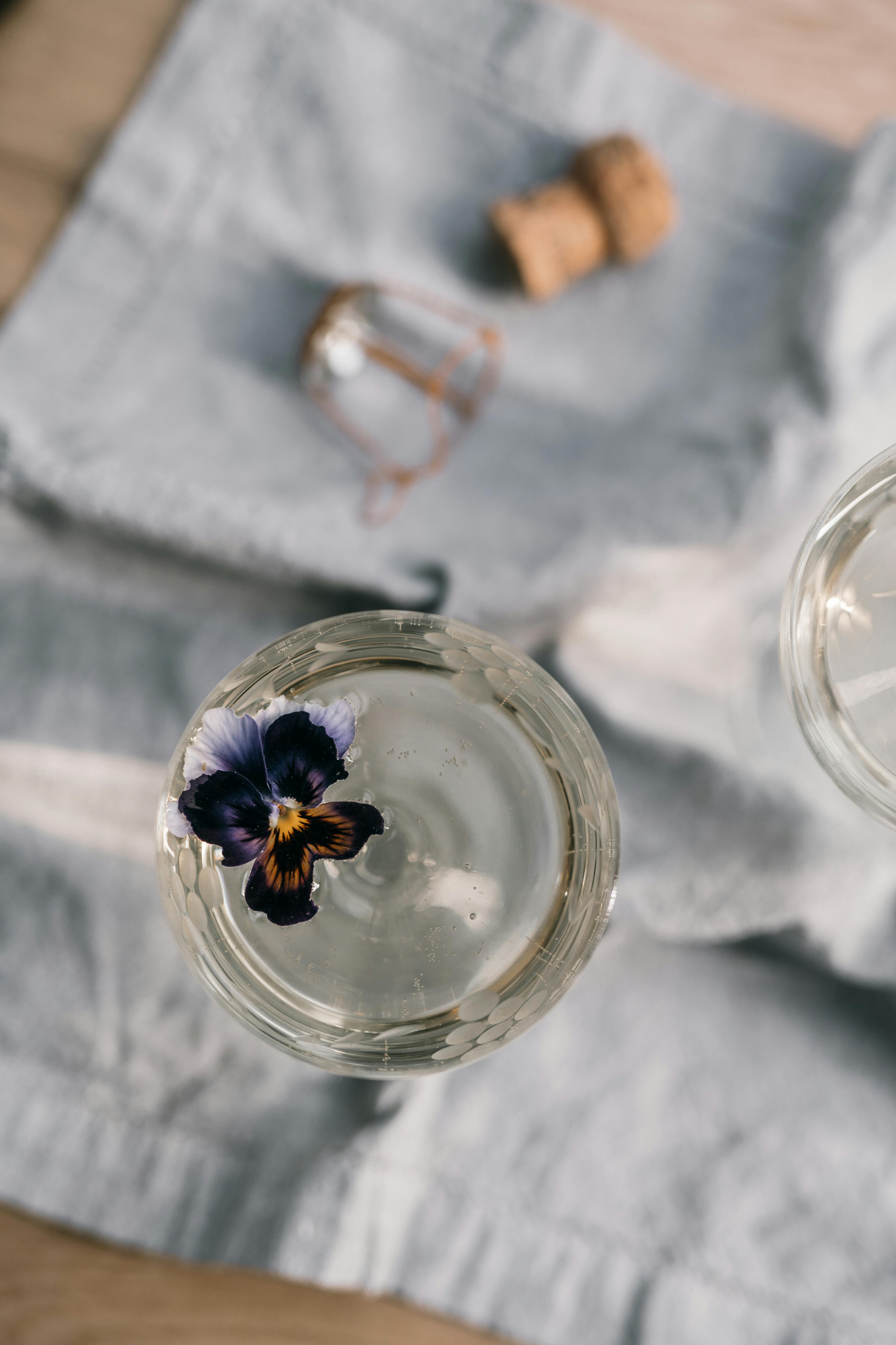 Blue Flower in Clear Glass with Clear Liquid · Free Stock Photo