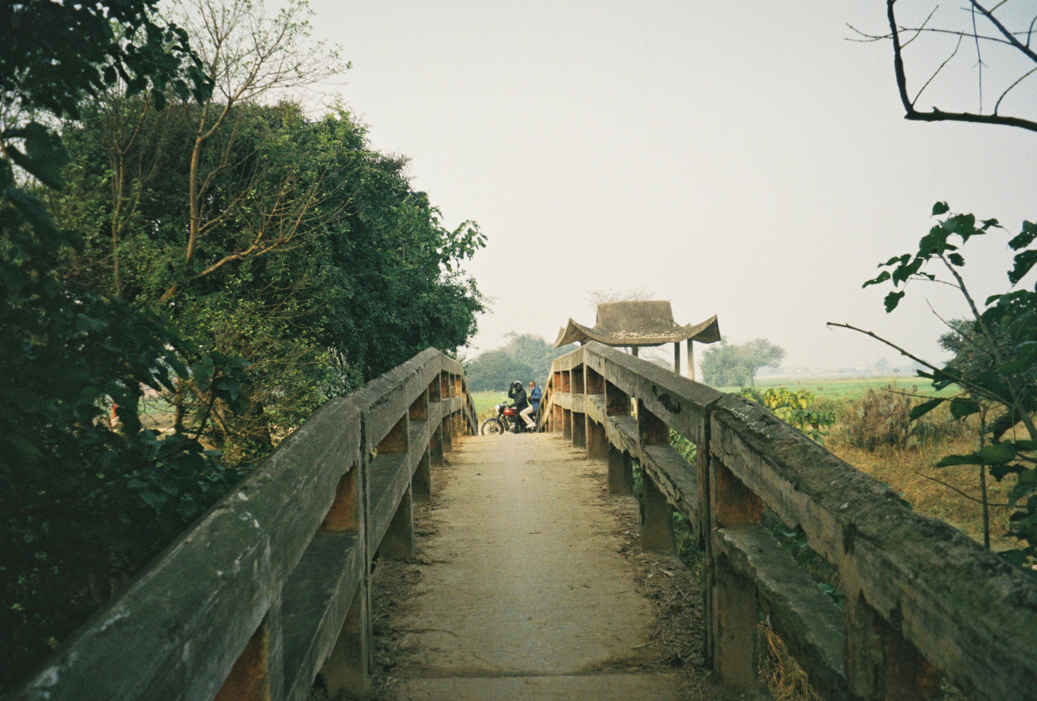 A Brown Bridge Beside Green Trees · Free Stock Photo
