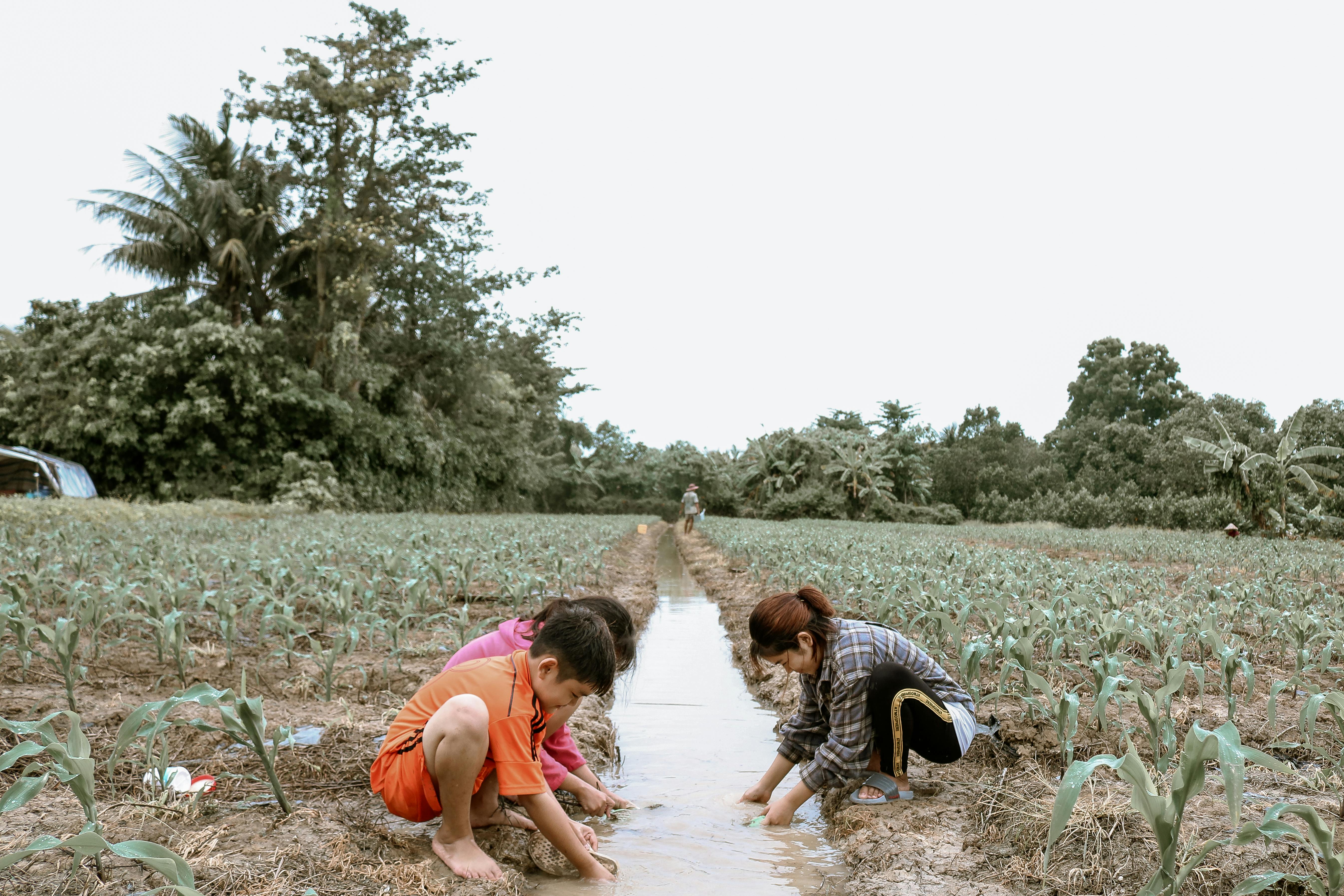 Farm Washing Photos, Download The BEST Free Farm Washing Stock Photos ...