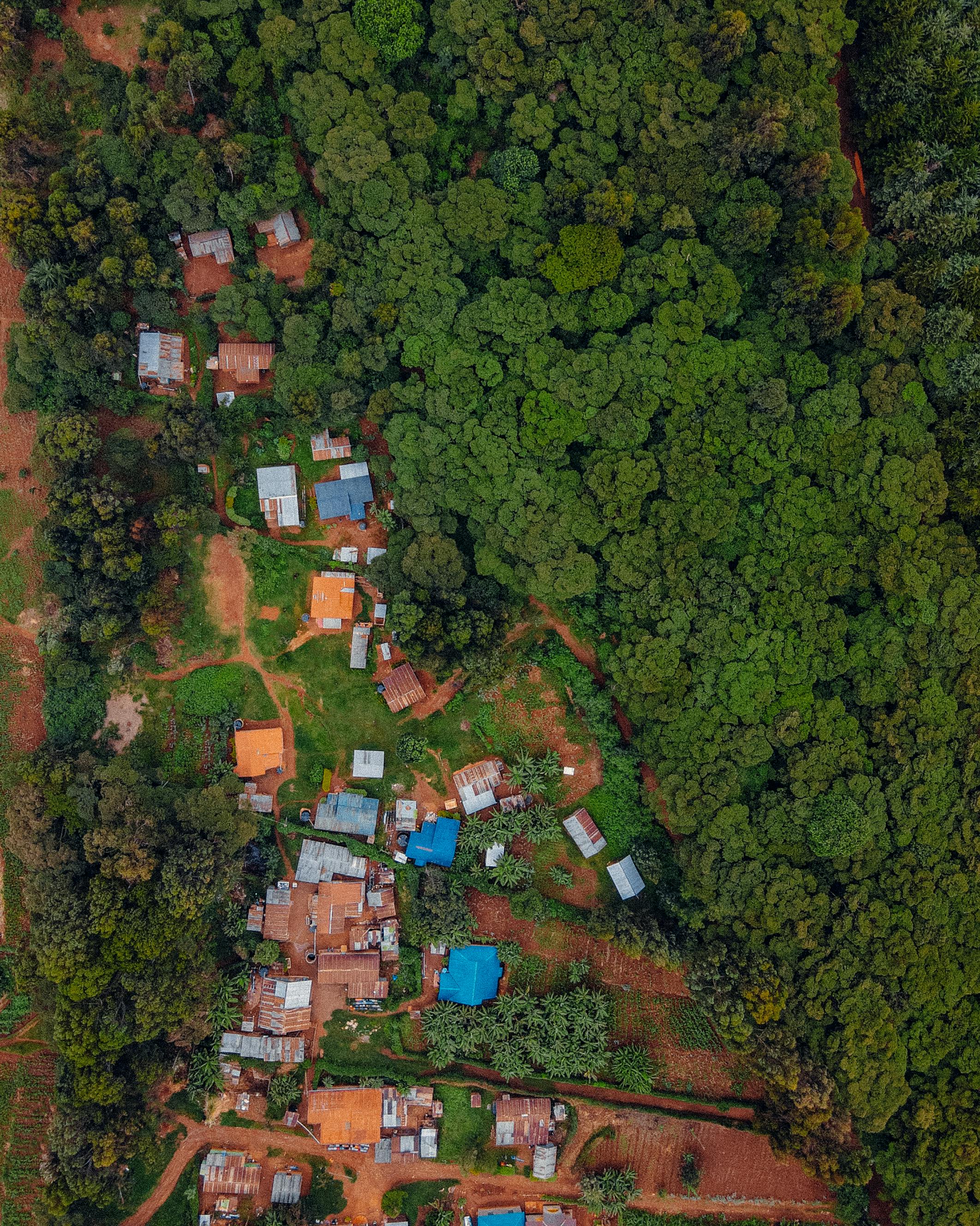 Aerial View of a Village · Free Stock Photo