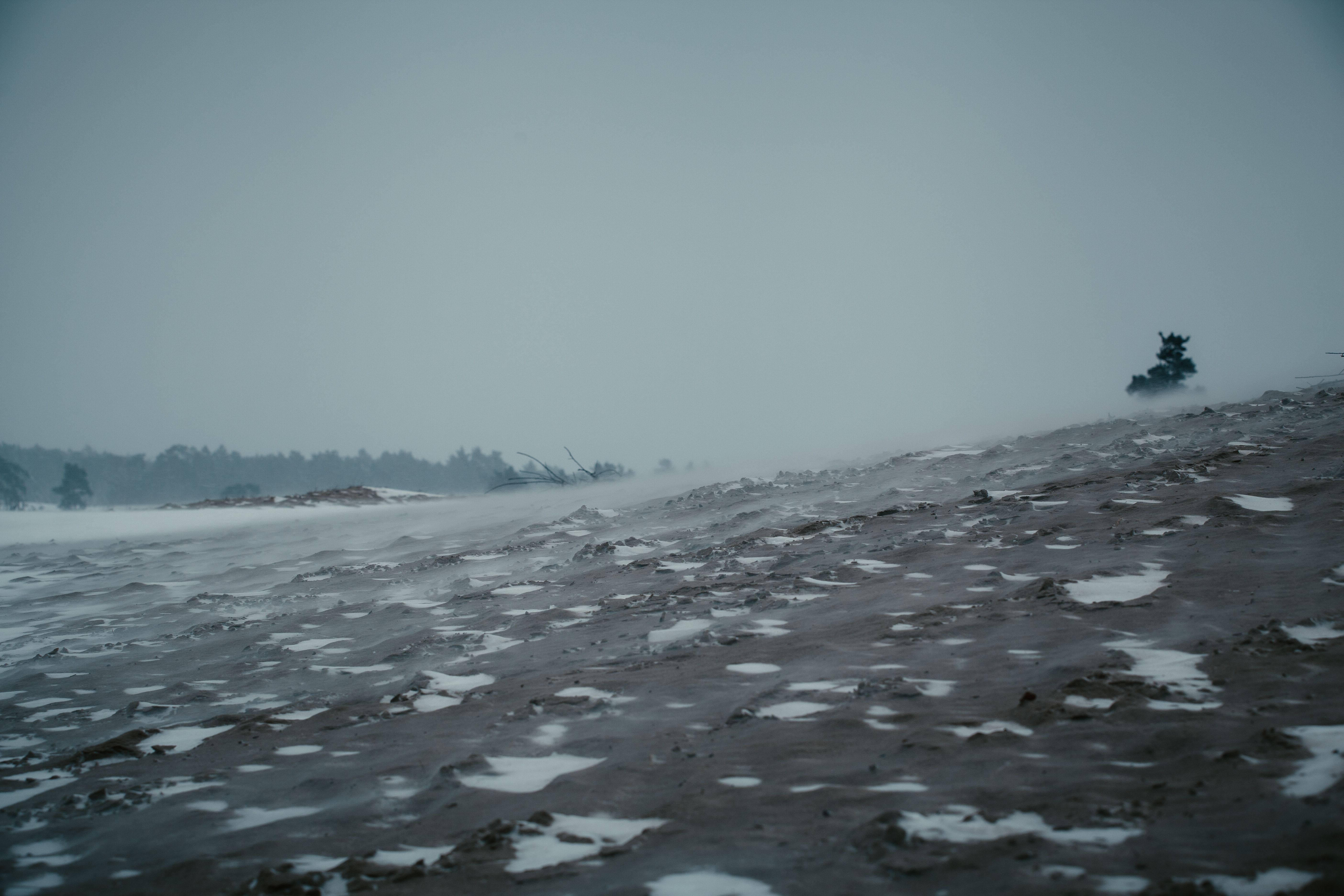 Windswept Snow Photos, Download The BEST Free Windswept Snow Stock ...