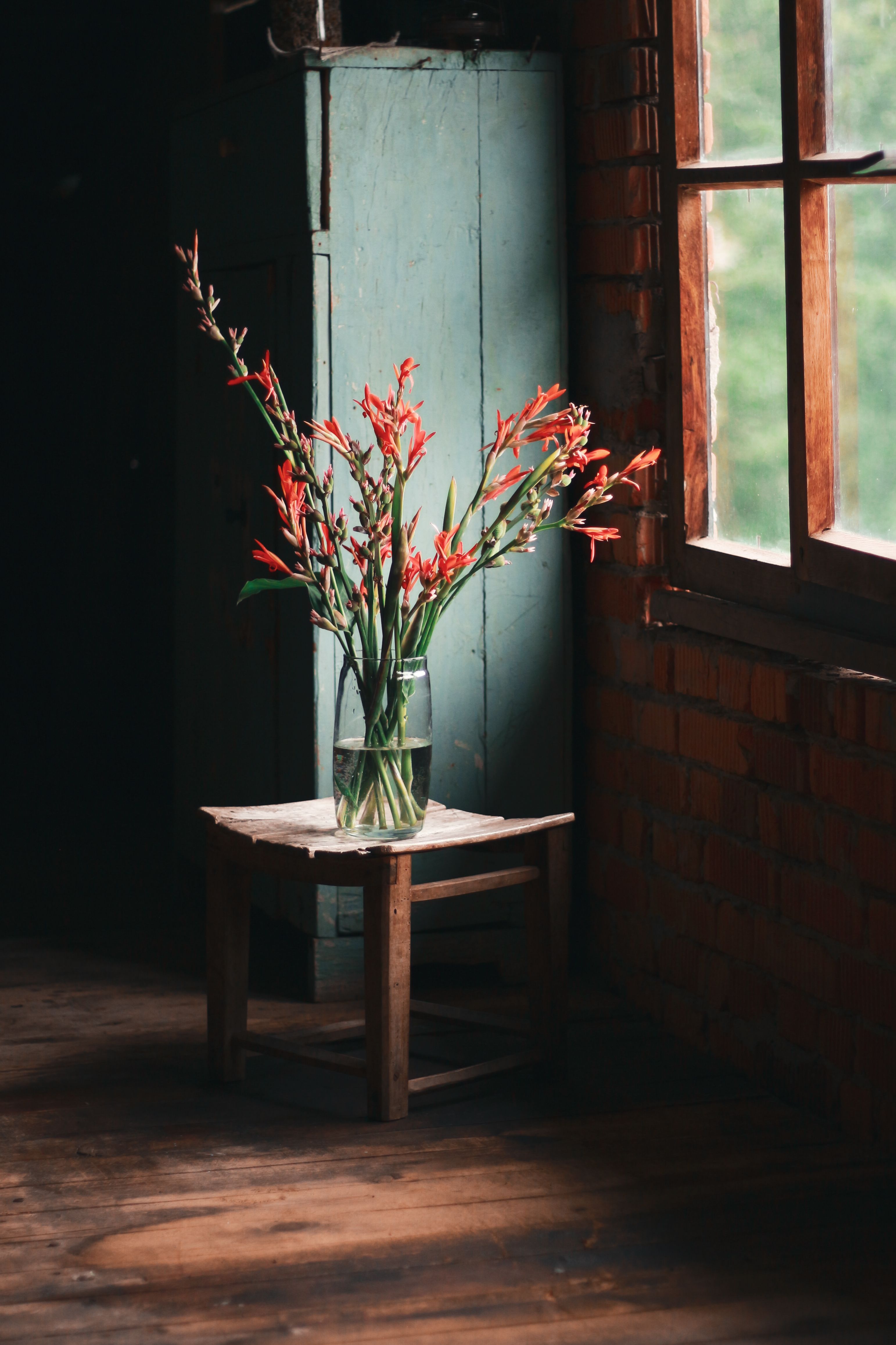 Flowers in a Glass Vase · Free Stock Photo