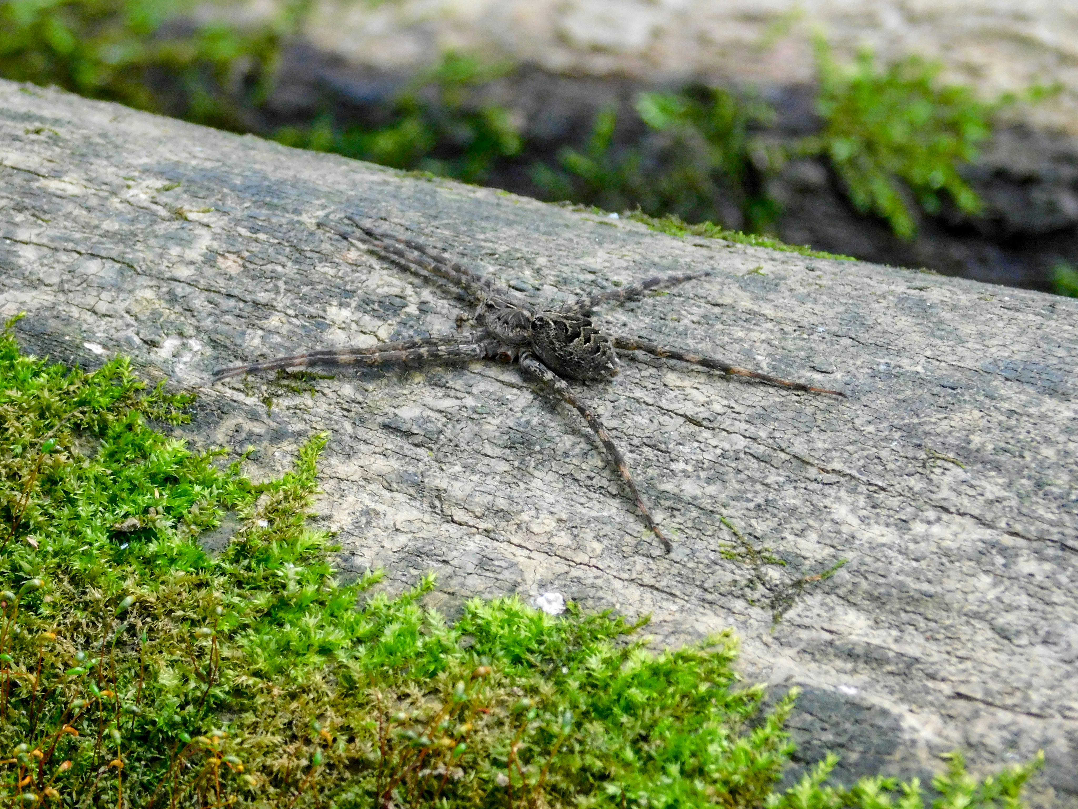 Bugs 14 Photos & Videos Collected by Amanda Caitlin Aileen