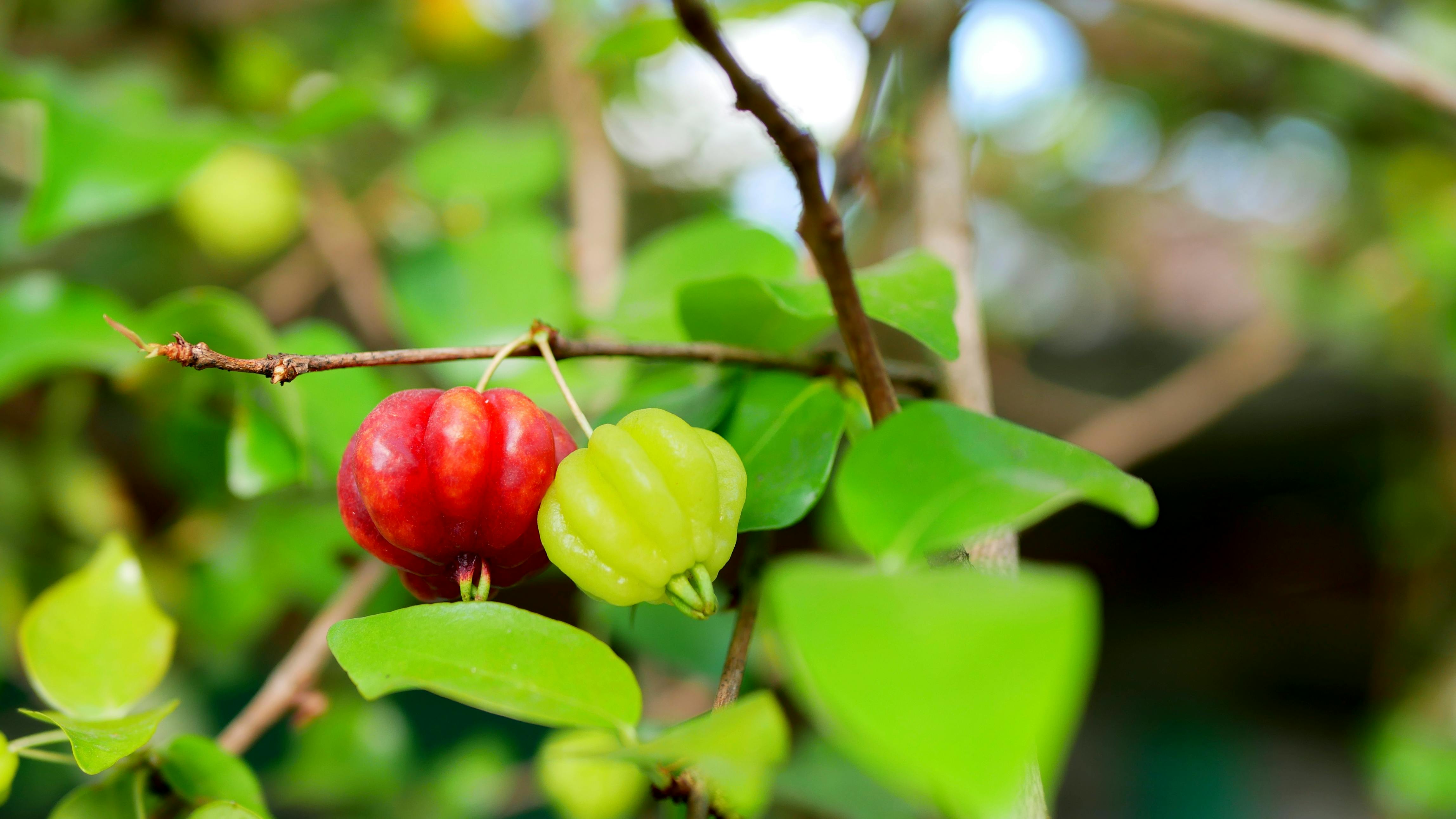 Iwey sKaKinG - Photography