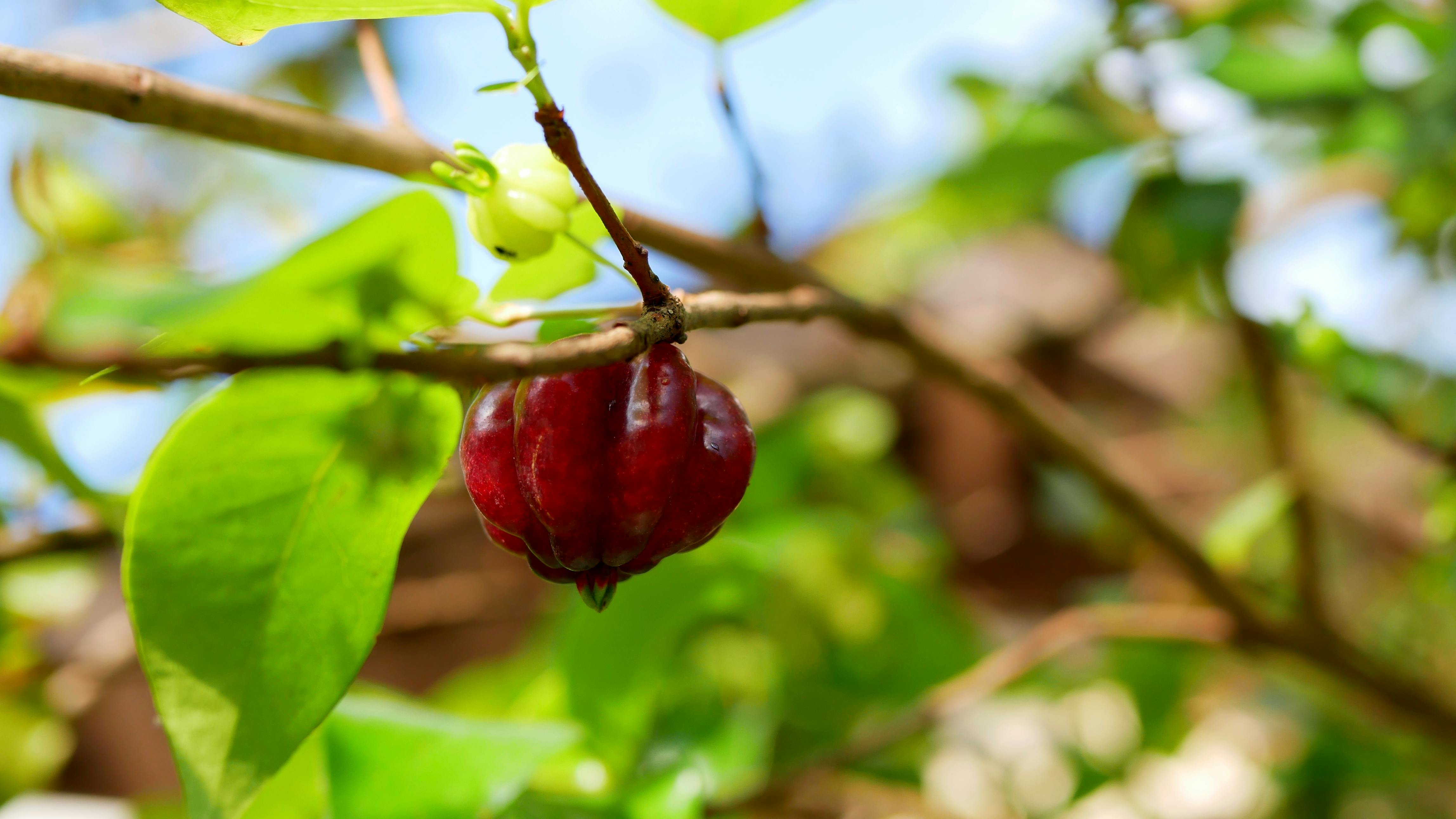 Iwey sKaKinG - Photography