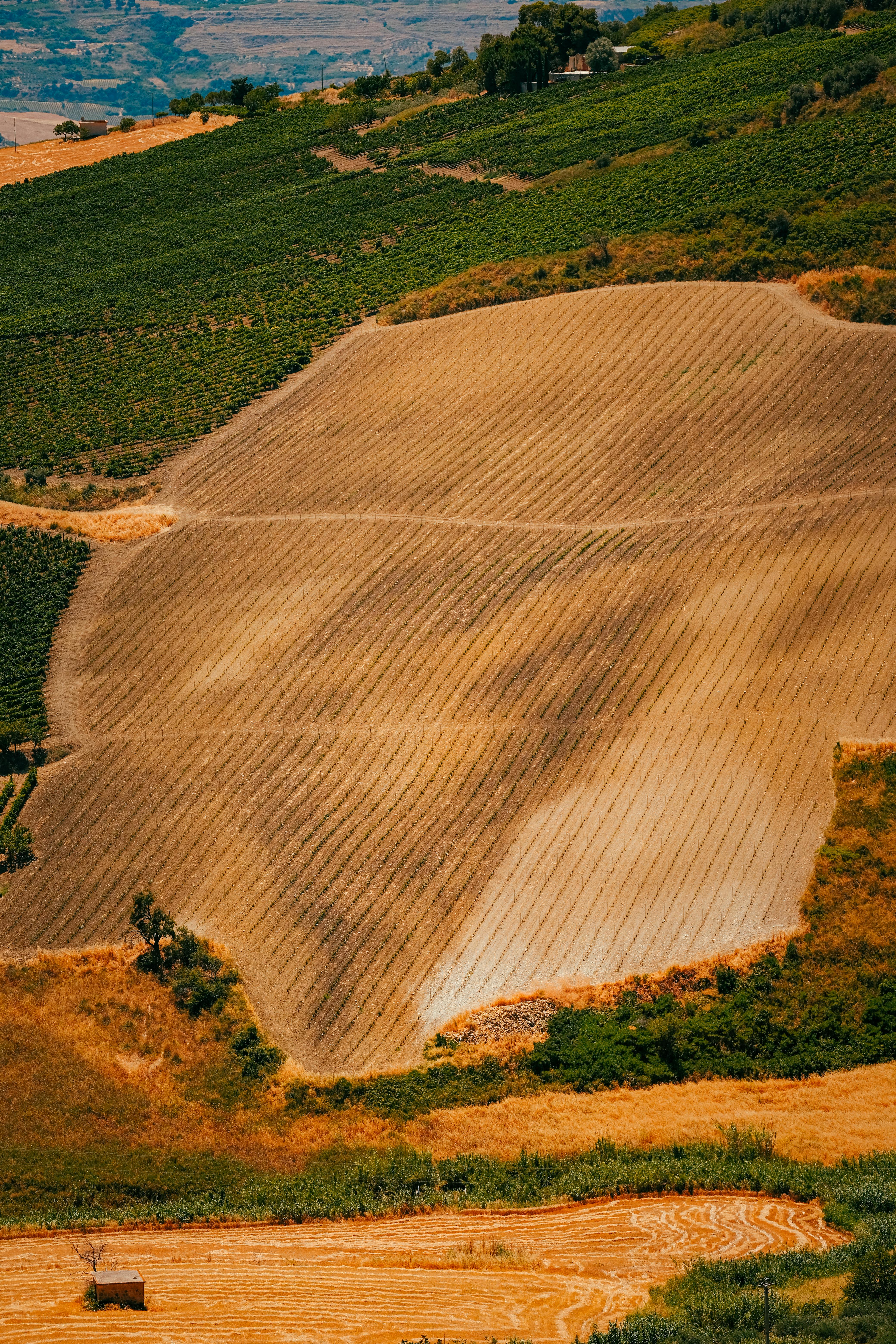 Aerial View of a Farm Field · Free Stock Photo