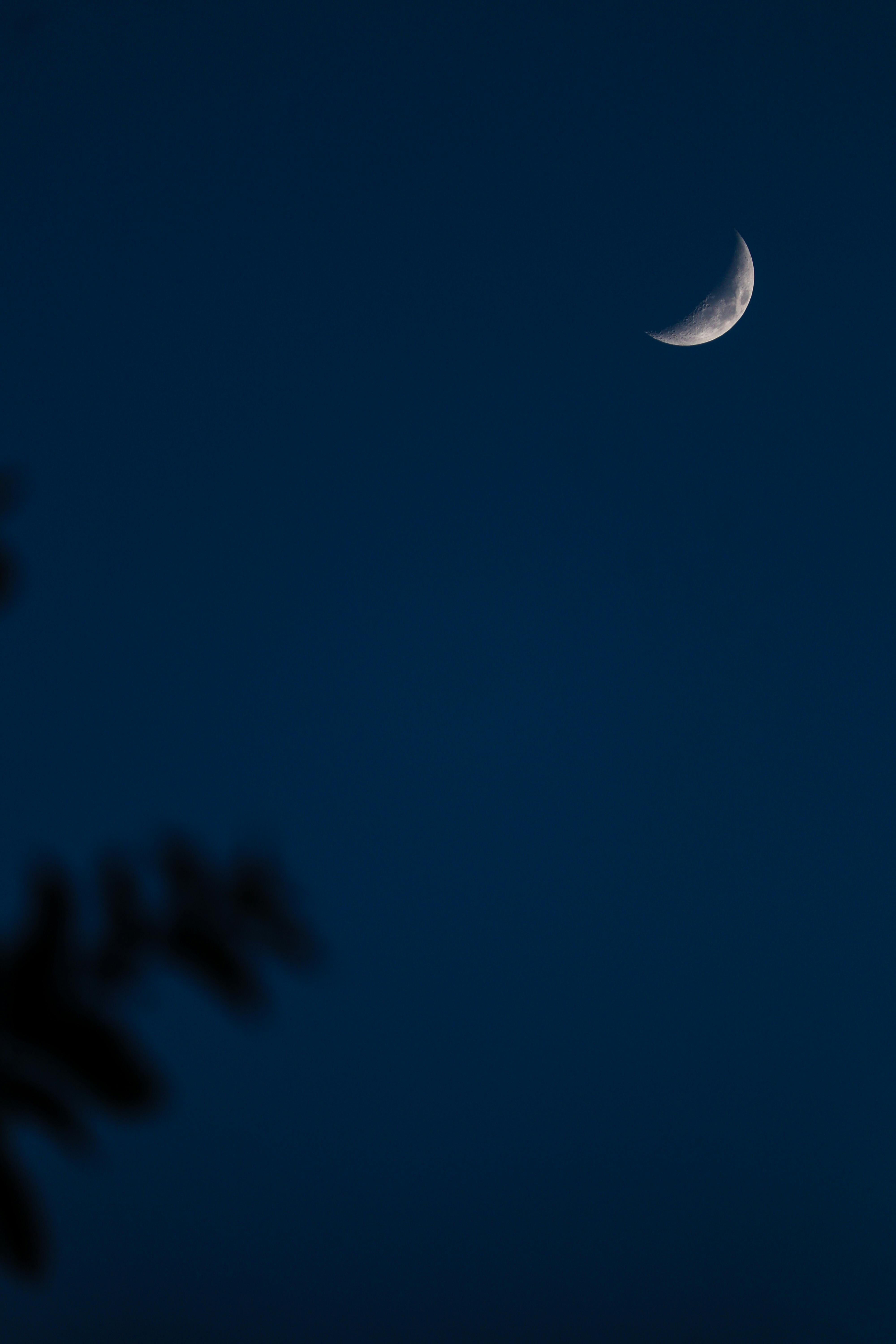 Crescent Moon on a Dark Sky · Free Stock Photo