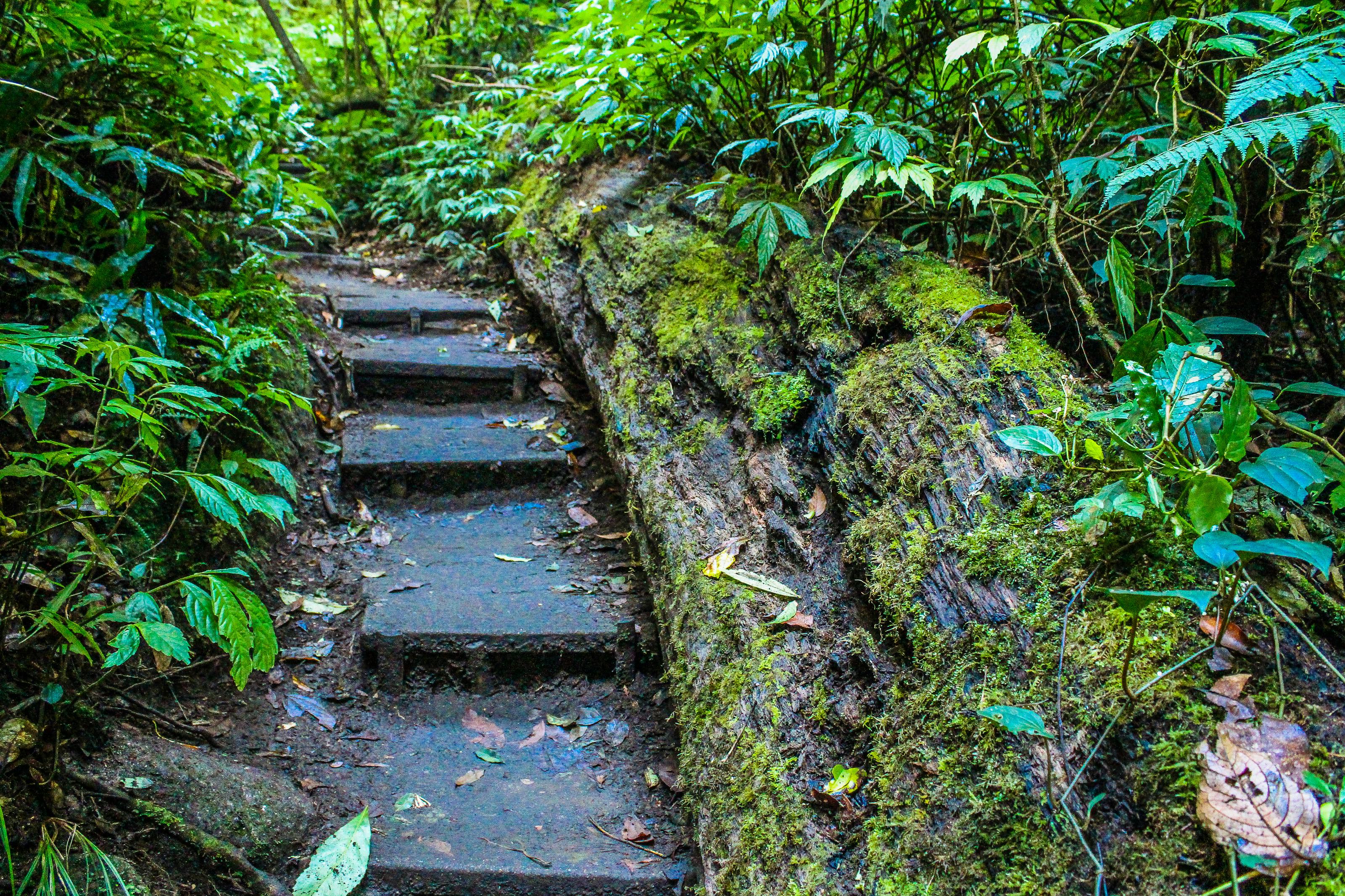 Free stock photo of adventure, background, beautiful