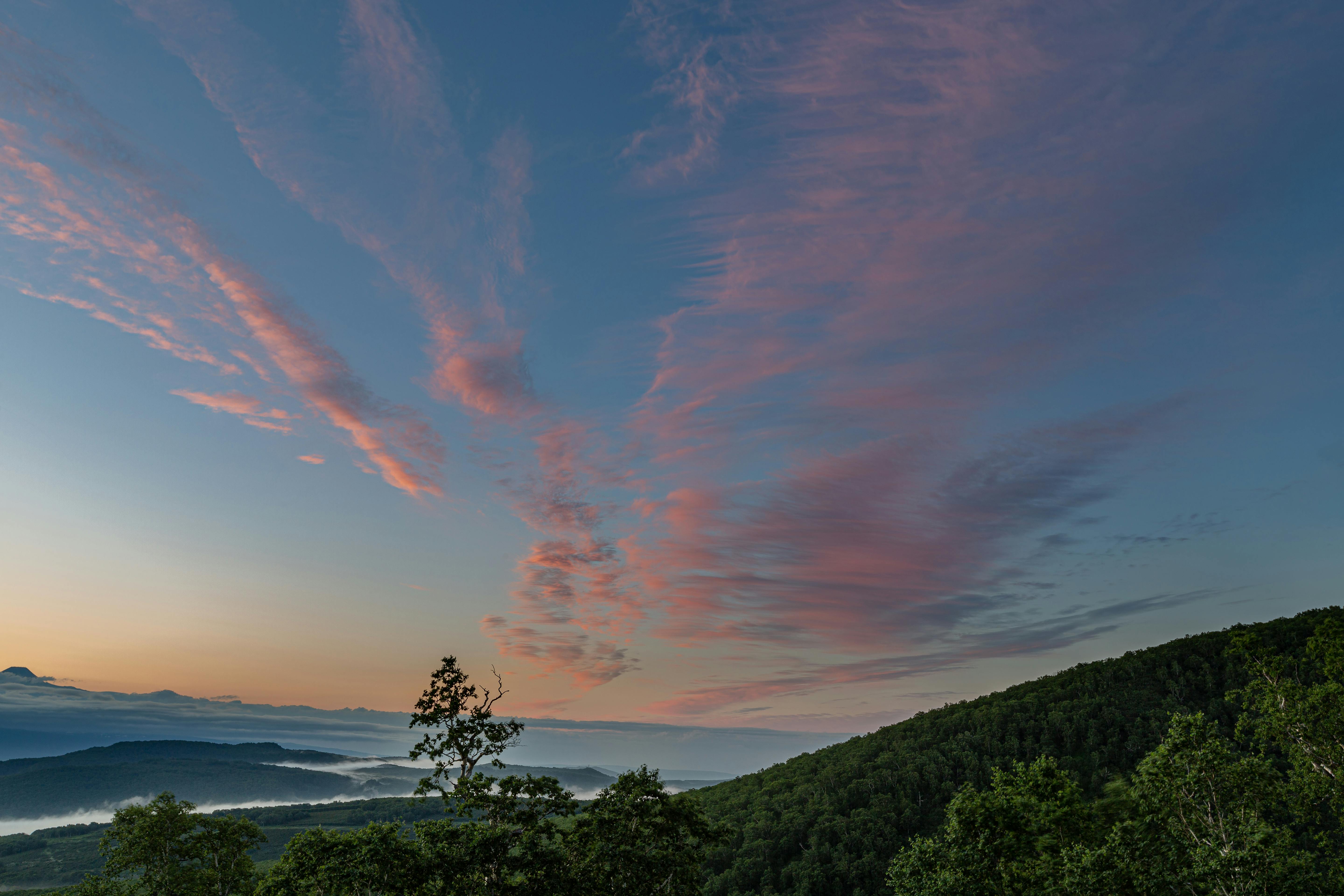 Pink Cloudy Sky · Free Stock Photo