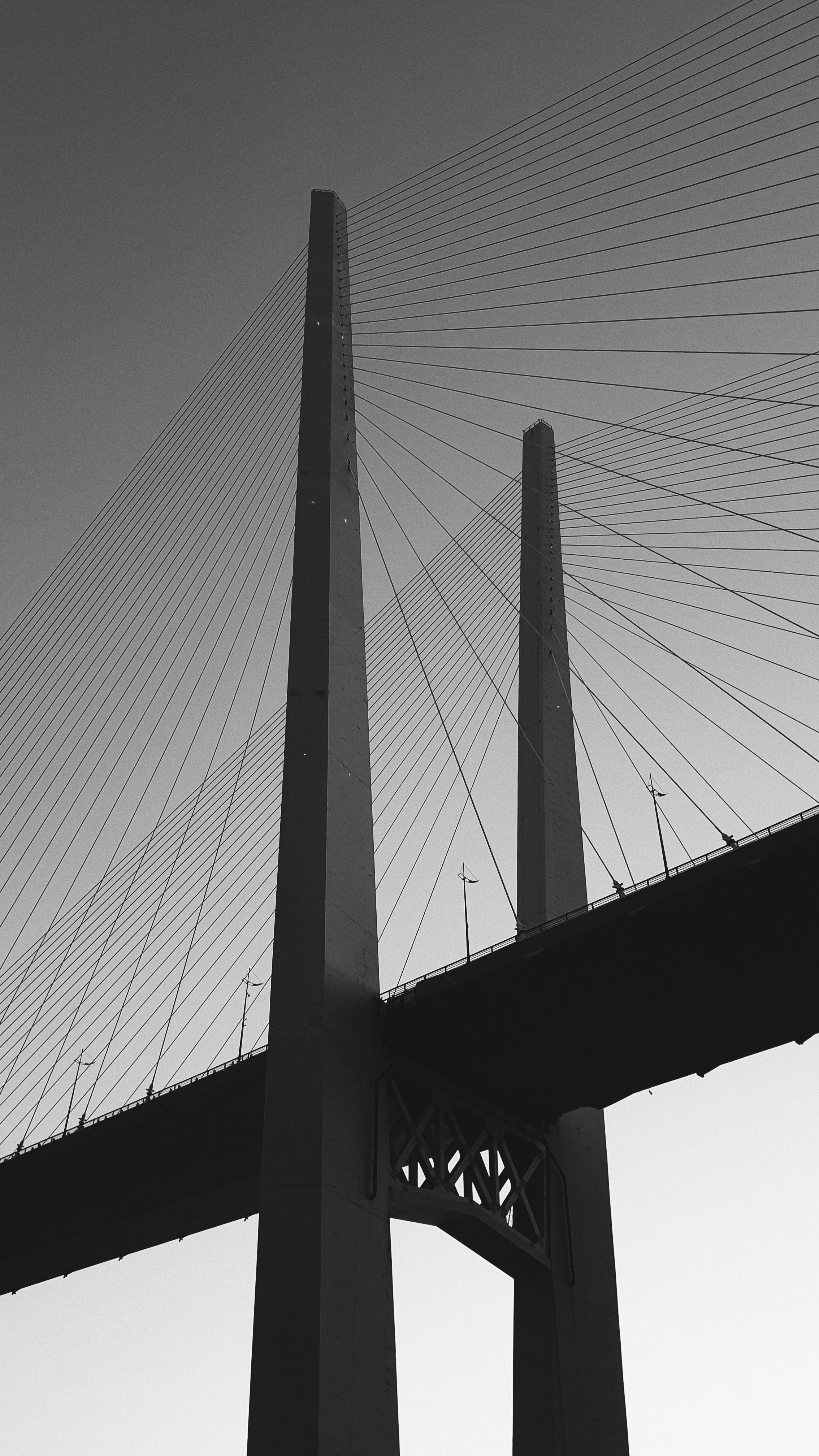 Monochrome Photography of Bridge · Free Stock Photo