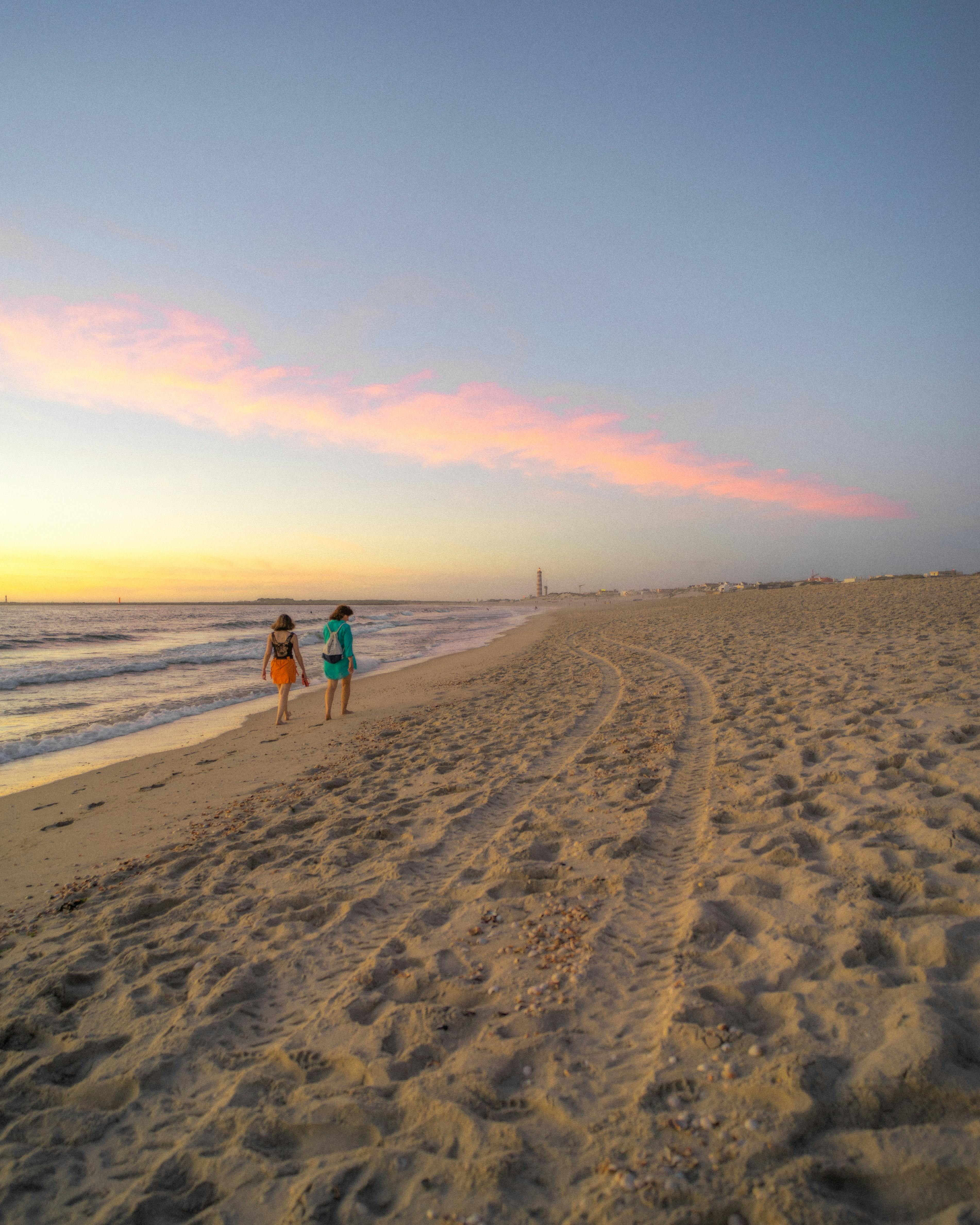 People Walking on Beach during Sunset · Free Stock Photo