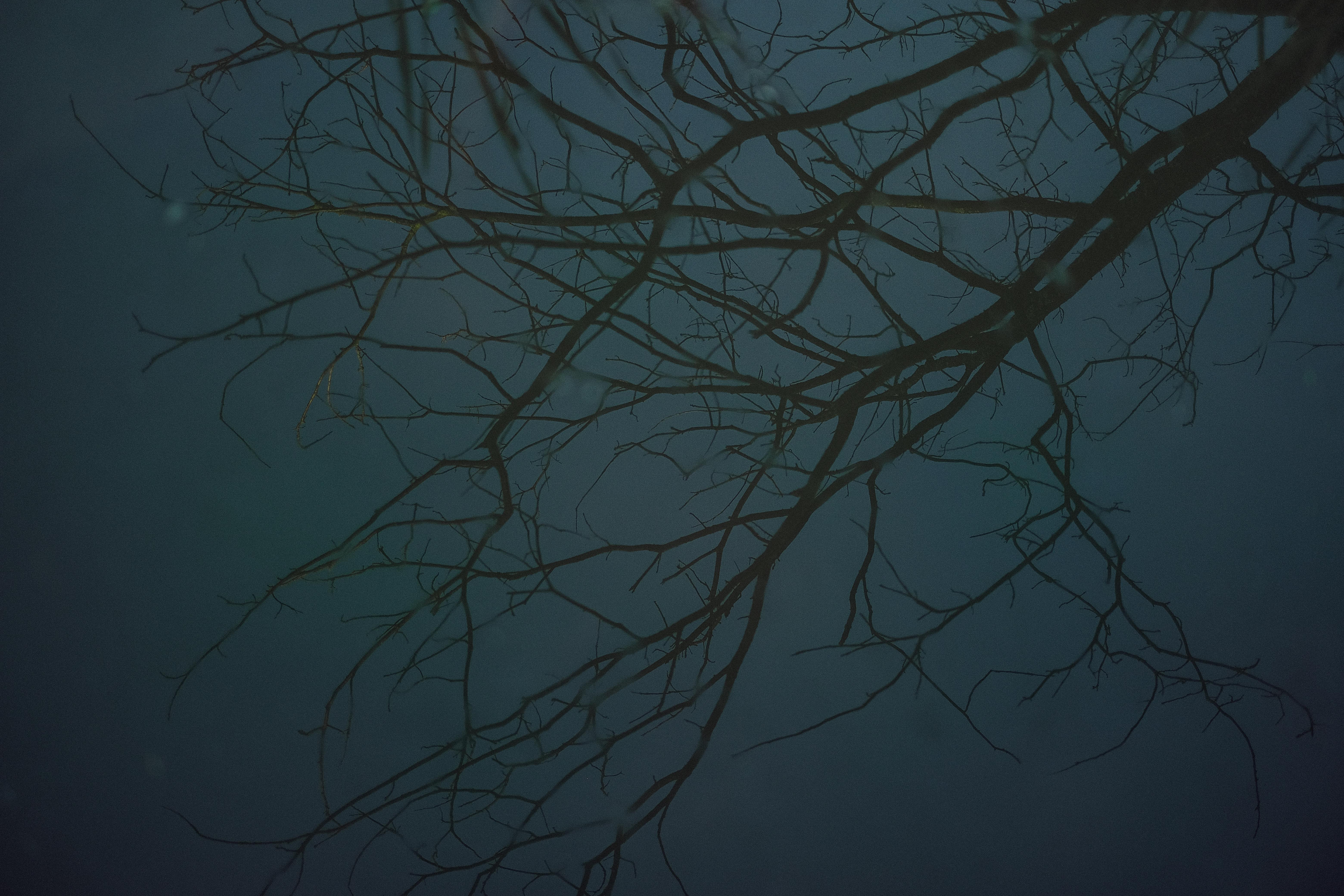 Relaxing And Eerie Background Photos, Download The BEST Free Relaxing ...