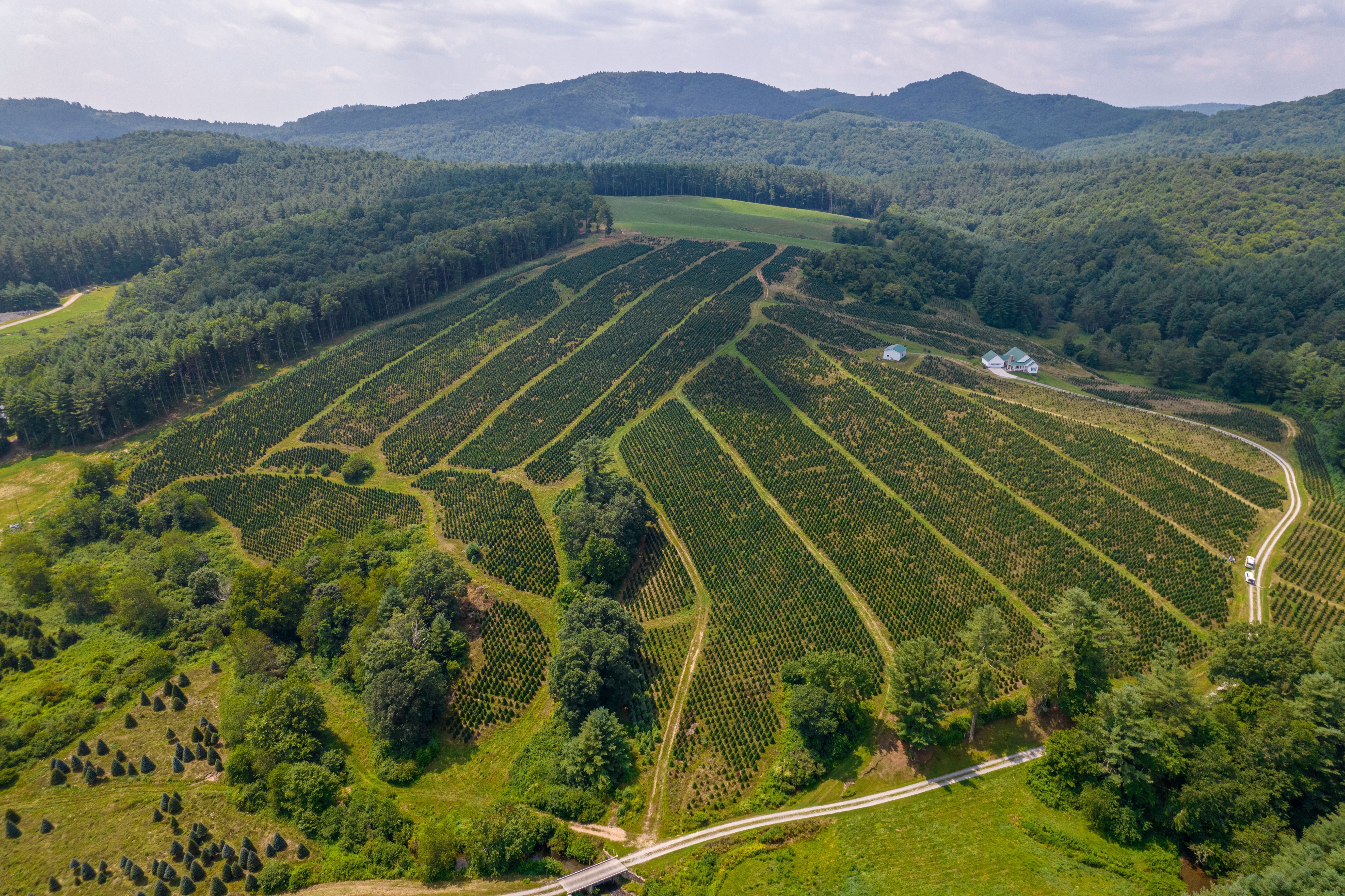 Aerial View of a Cropland · Free Stock Photo