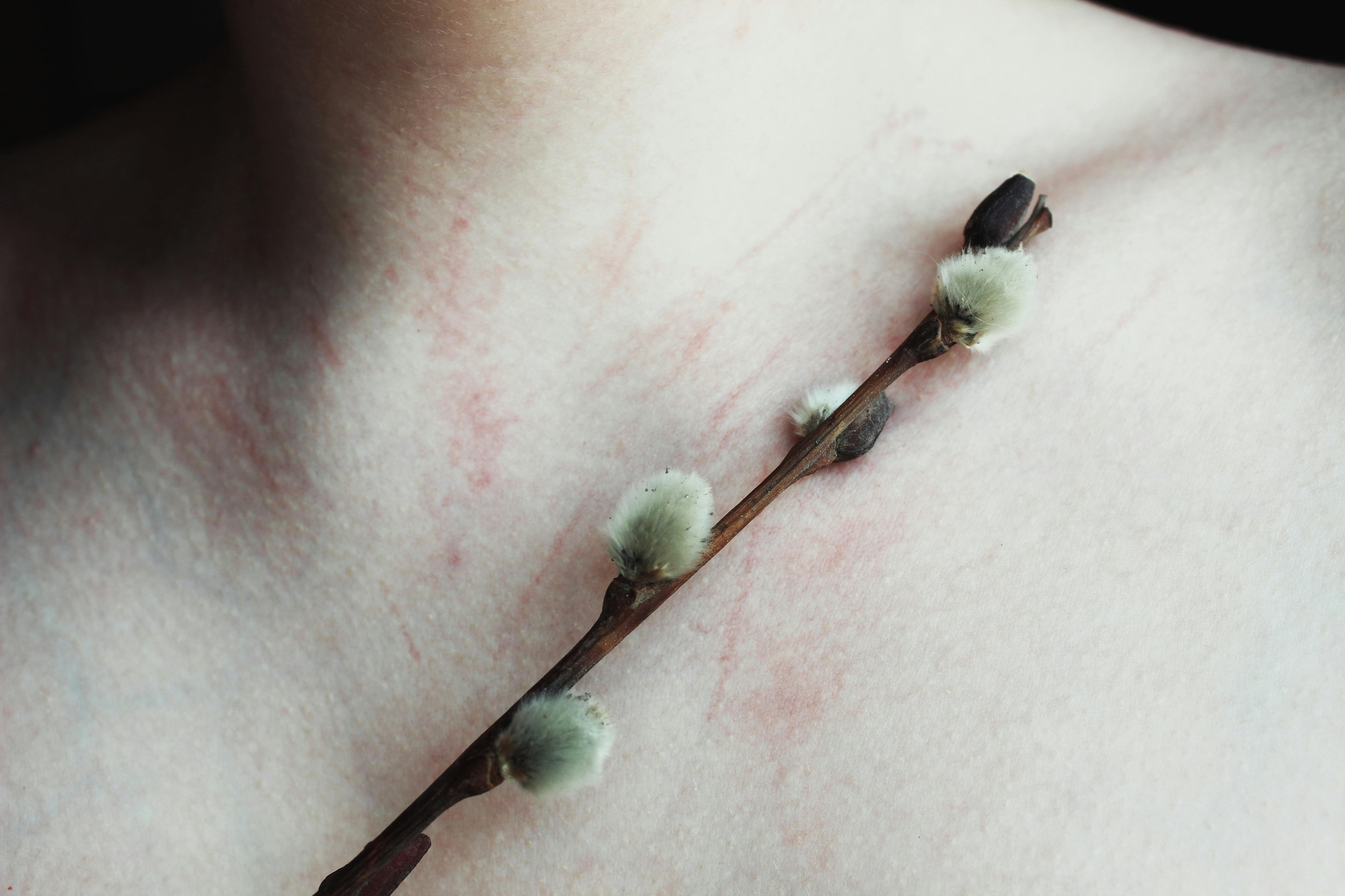 Body Shame Photos, Download The BEST Free Body Shame Stock Photos & HD ...