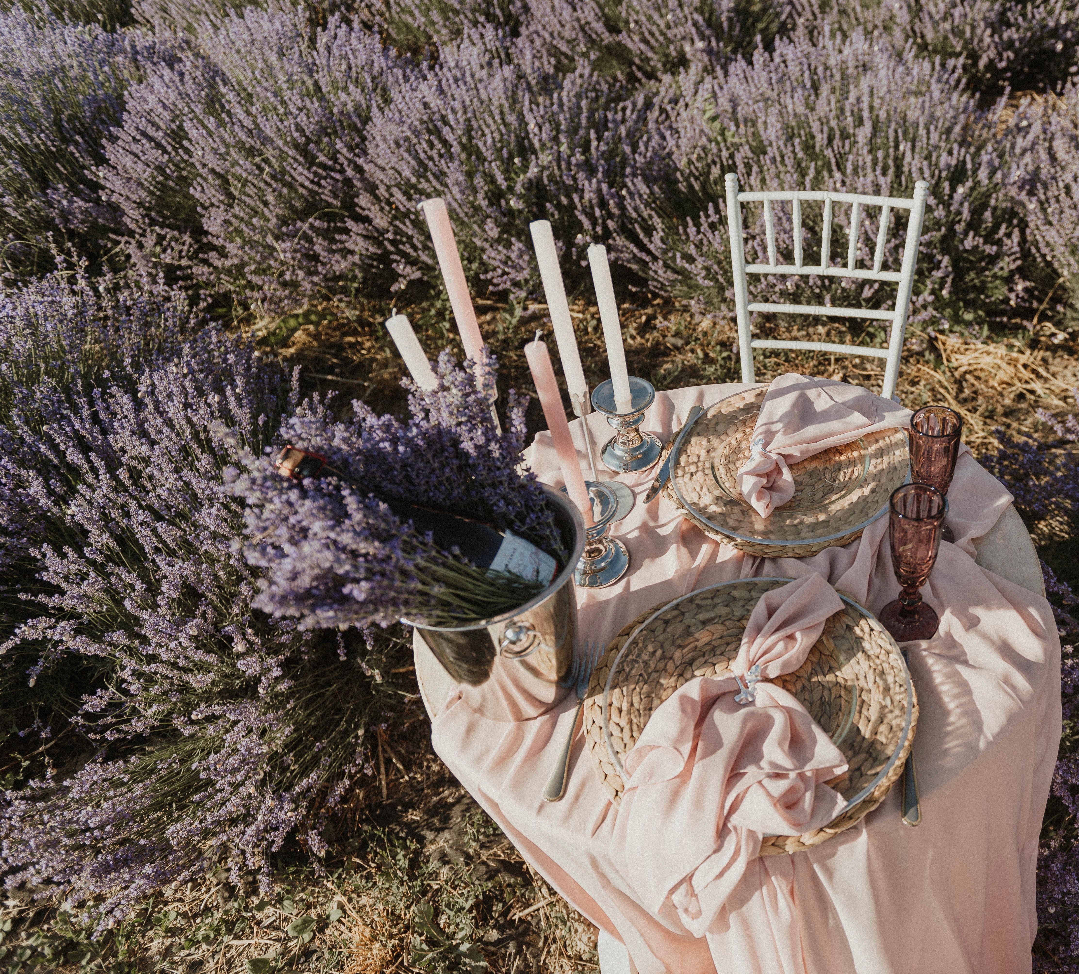Round Table with Chair on the Flower Field · Free Stock Photo