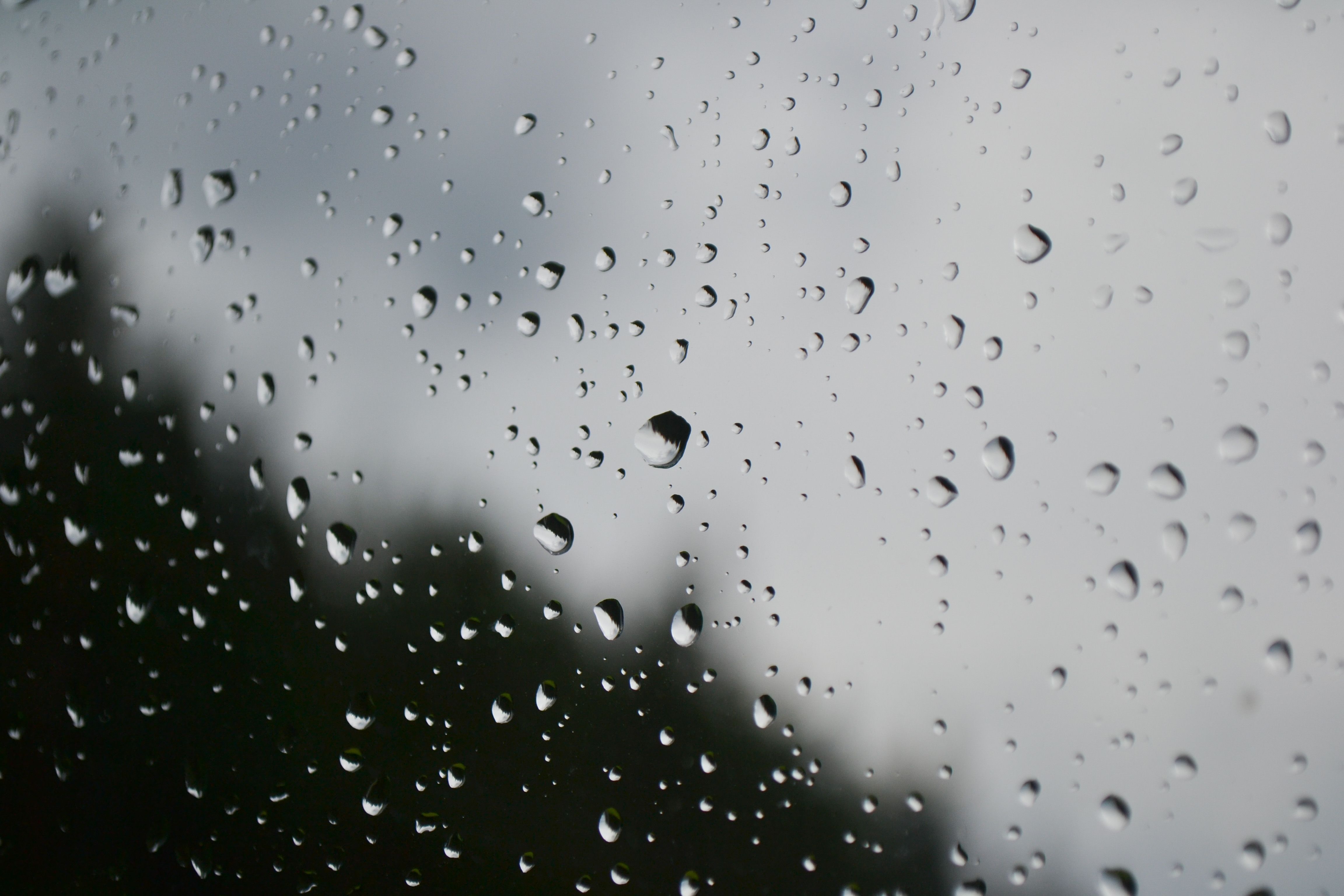 Close-Up Photograph of Glasses of Water · Free Stock Photo