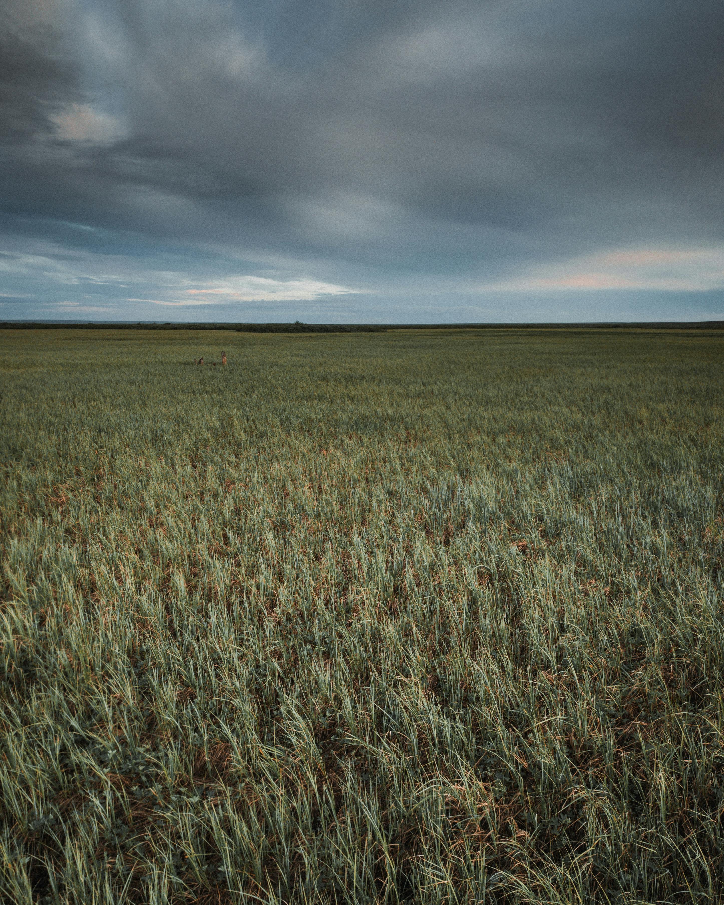 Komi Farm Fotky Photos, Download The BEST Free Komi Farm Fotky Stock ...