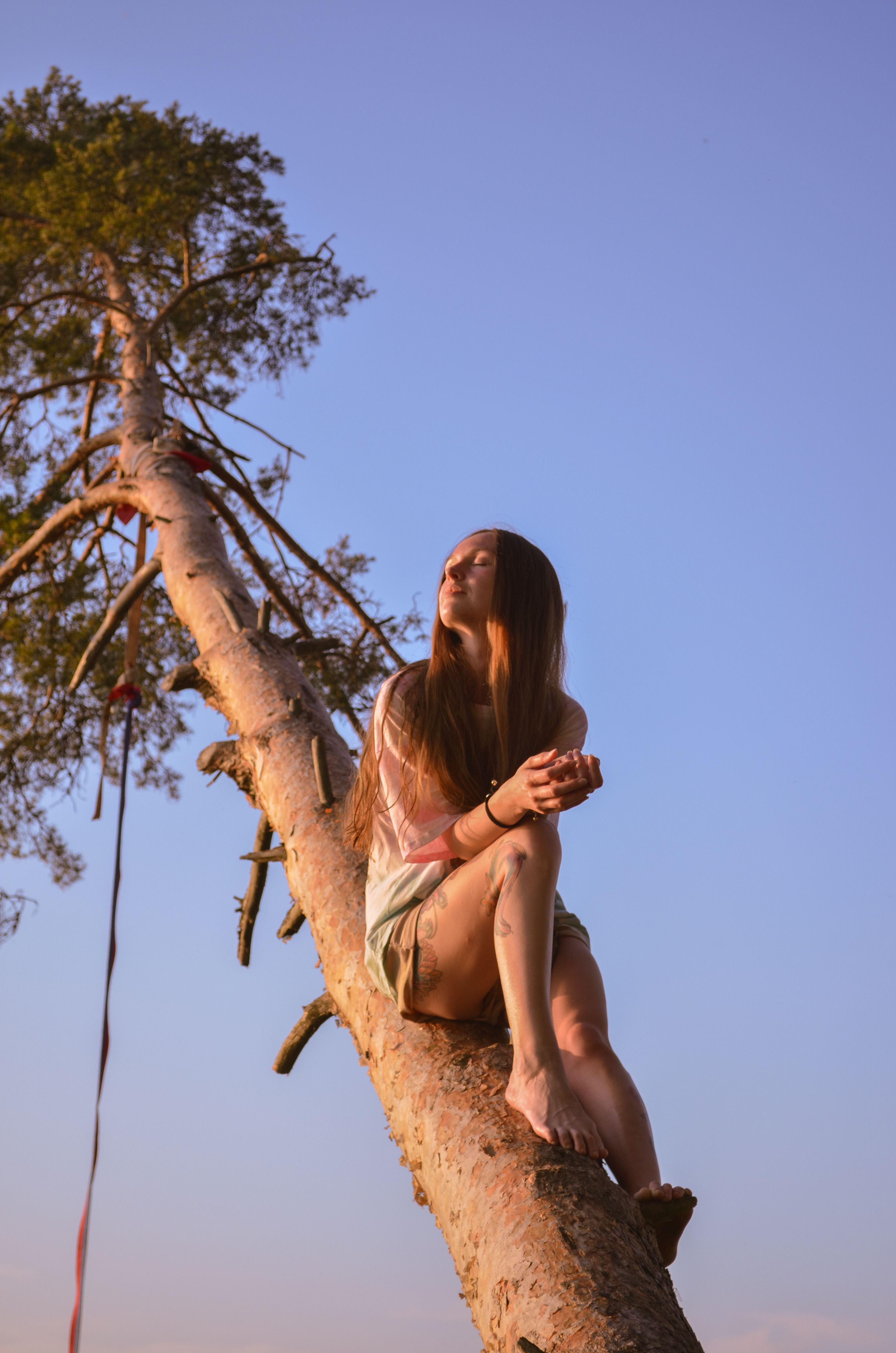 Woman On Tree Photos, Download The BEST Free Woman On Tree Stock Photos ...