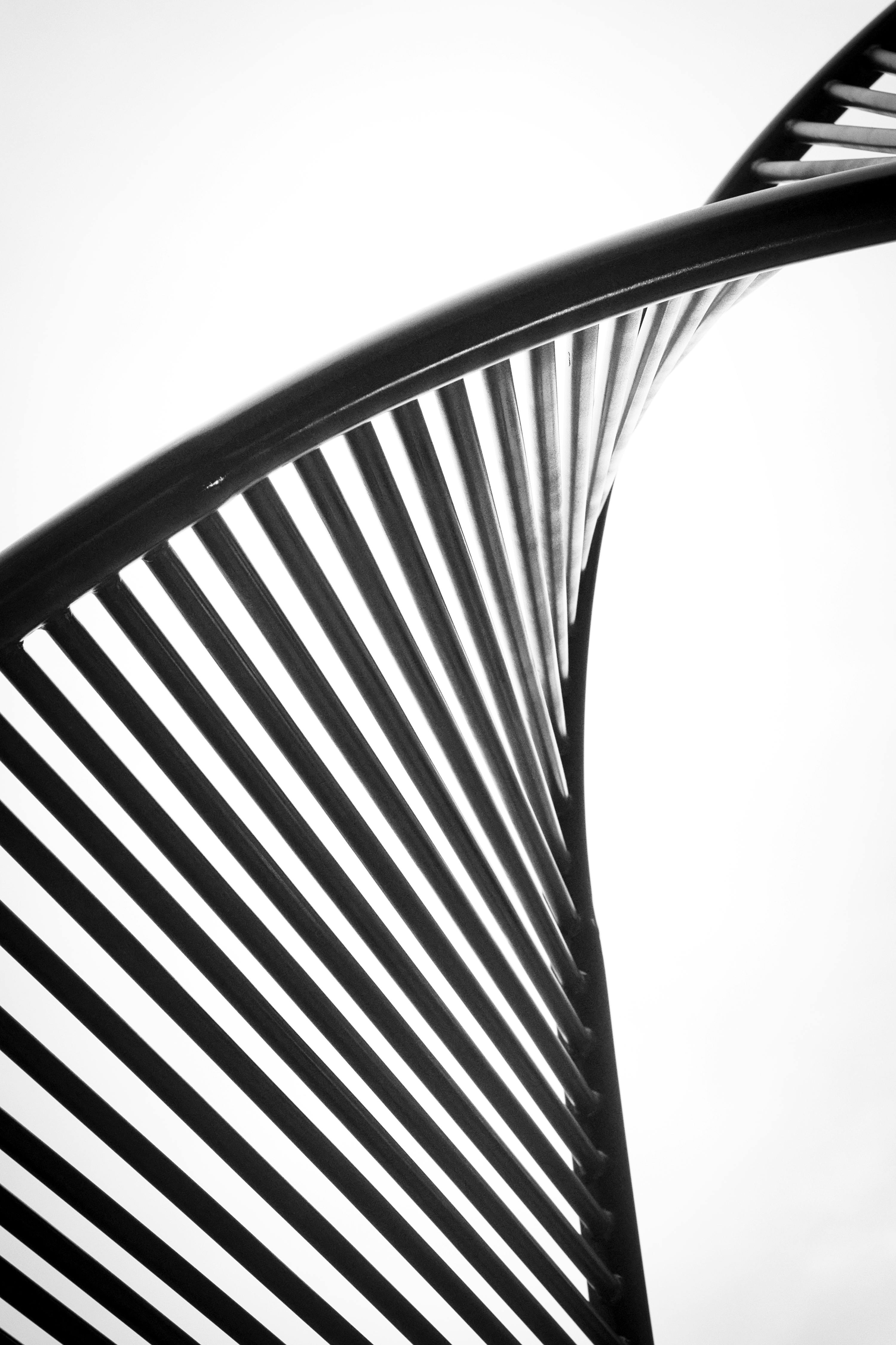 Curve Life Photos, Download The BEST Free Curve Life Stock Photos & HD ...