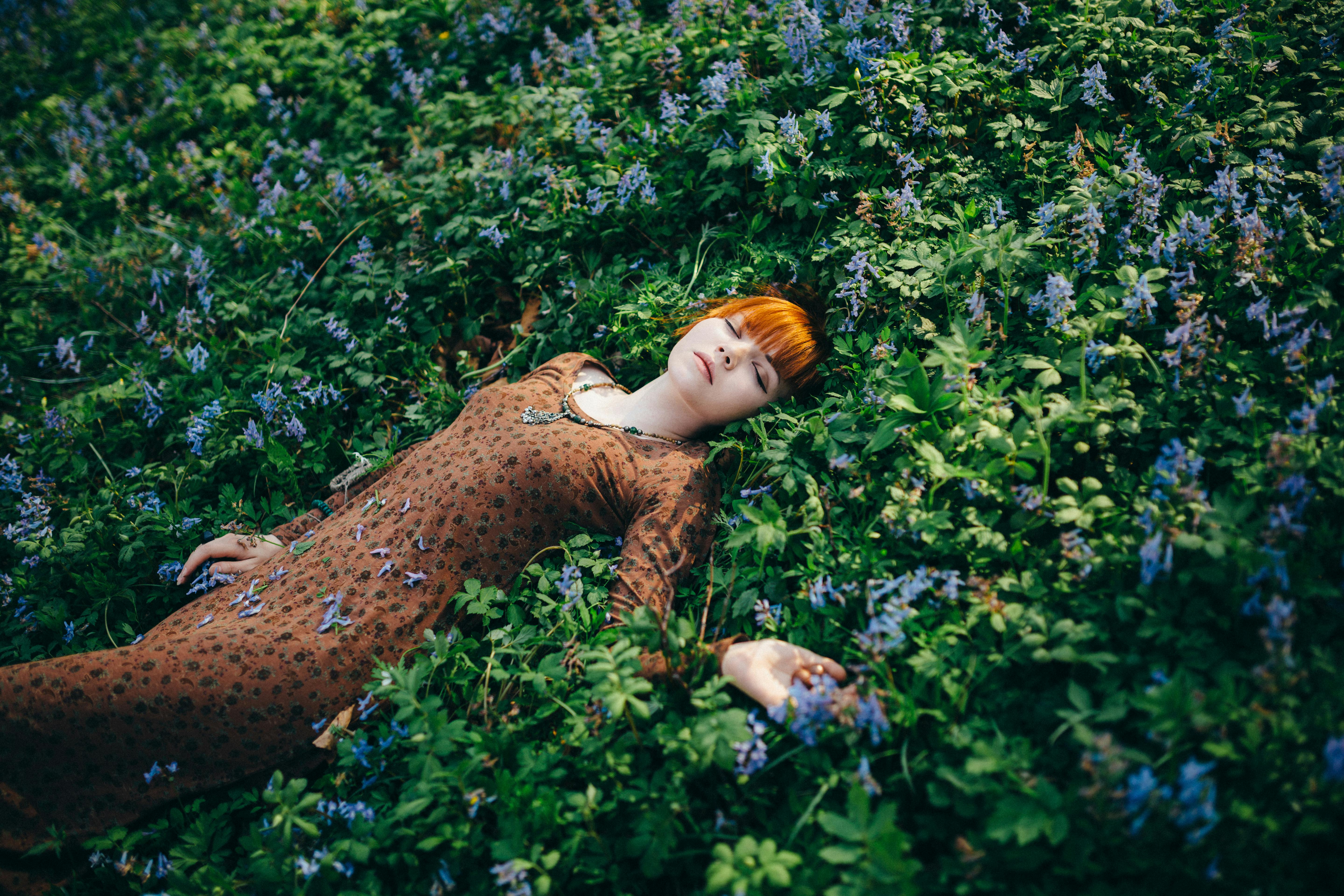 Season's Splendor Photos, Download The BEST Free Season's Splendor ...