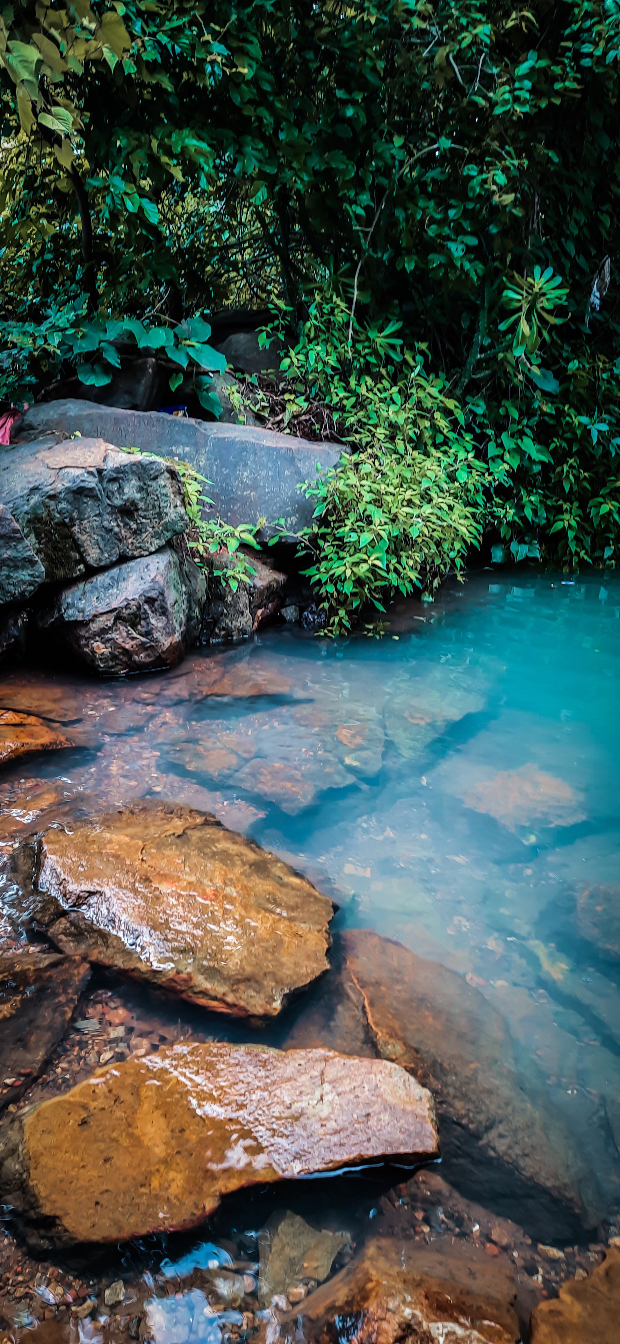 Amazon Rainforest From Upper View Photos, Download The BEST Free Amazon ...