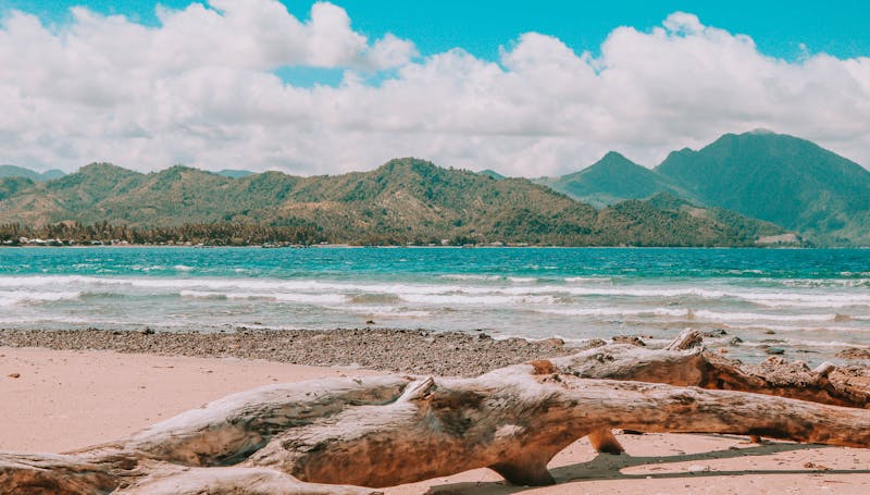 Davao Culture: Understanding the Traditions That Make This City Unique ...