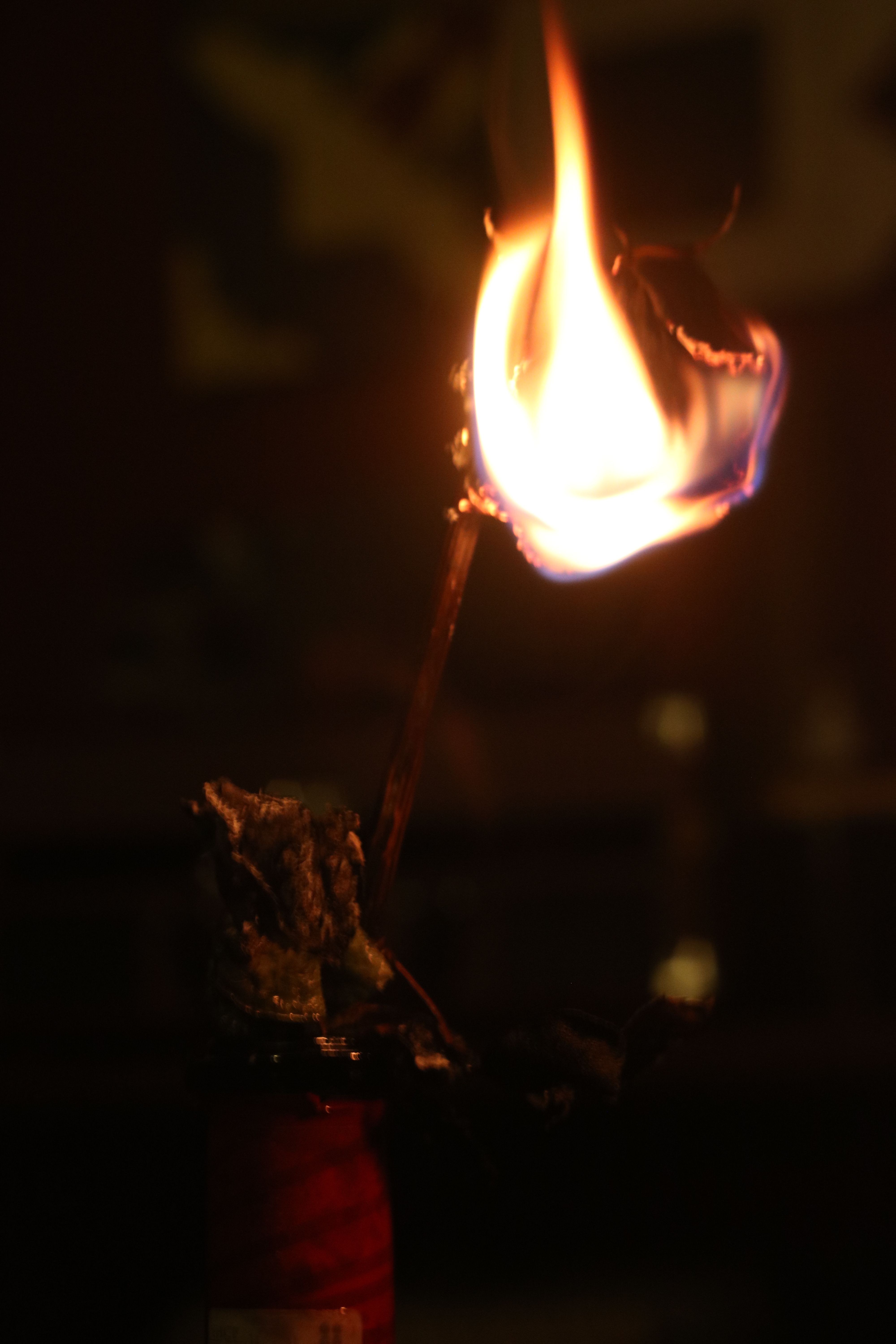 Flowers & Fire 5 Photos & Videos Collected by Lorena Ambrosio