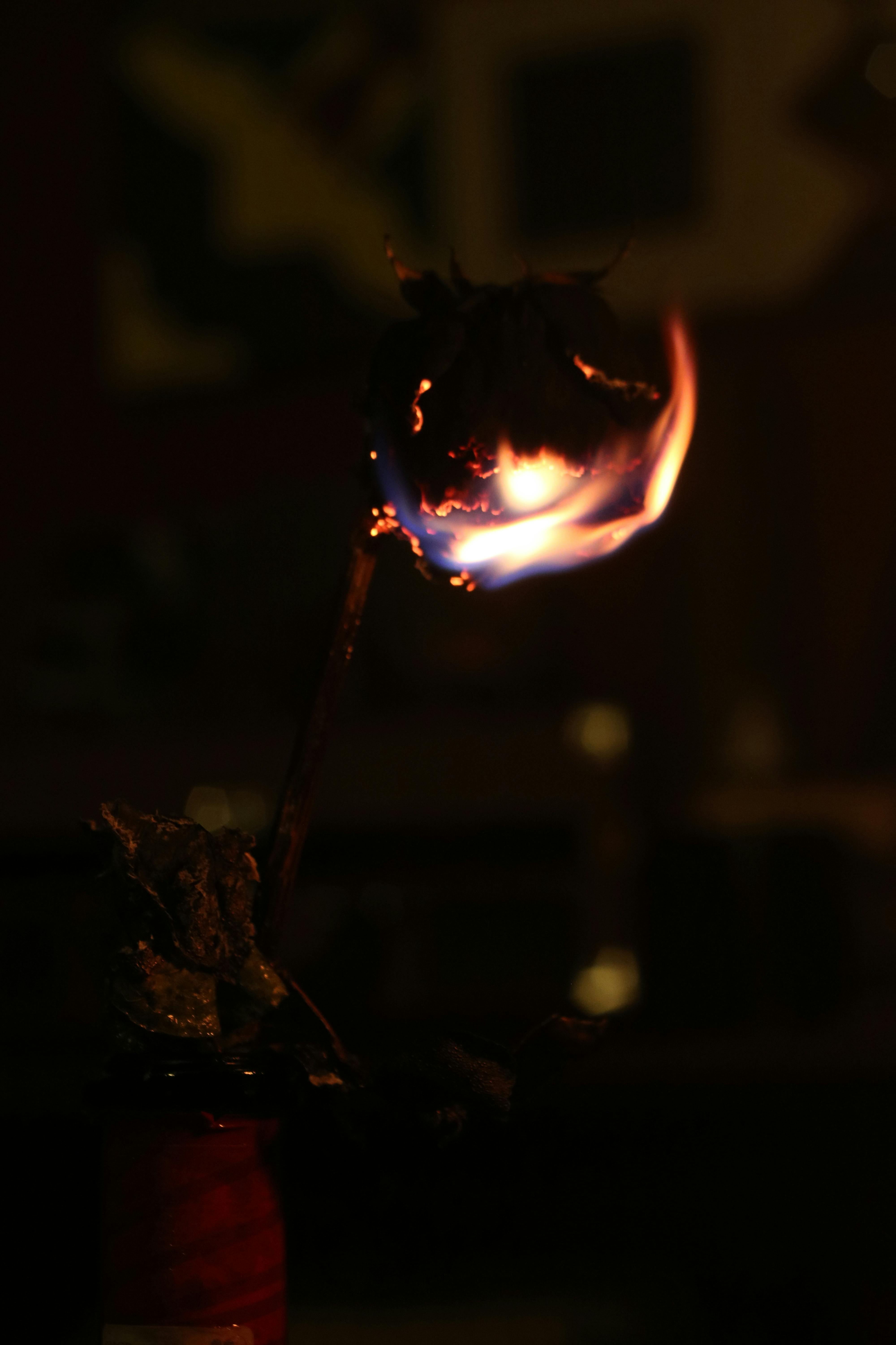 Flowers & Fire 5 Photos & Videos Collected by Lorena Ambrosio